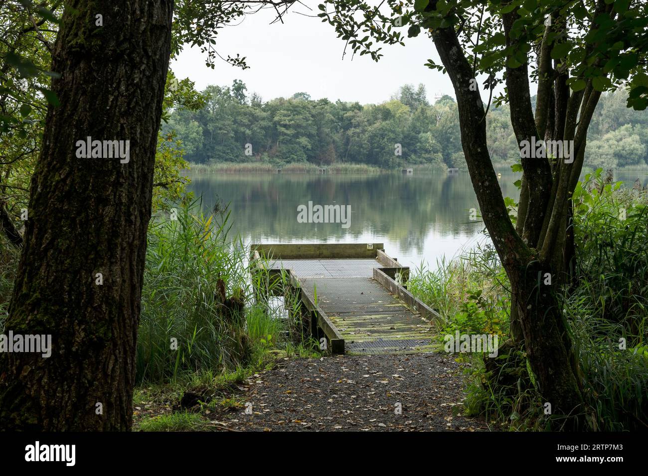 A fishing jetty alongside the lake in Loughgall Country Park in ...
