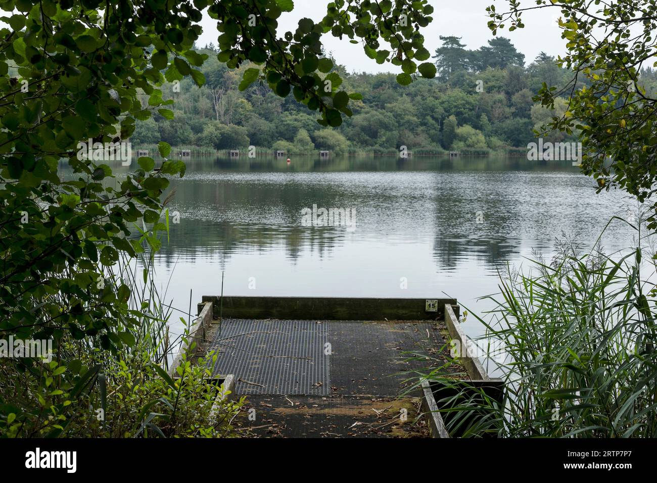 A fishing jetty alongside the lake in Loughgall Country Park in ...