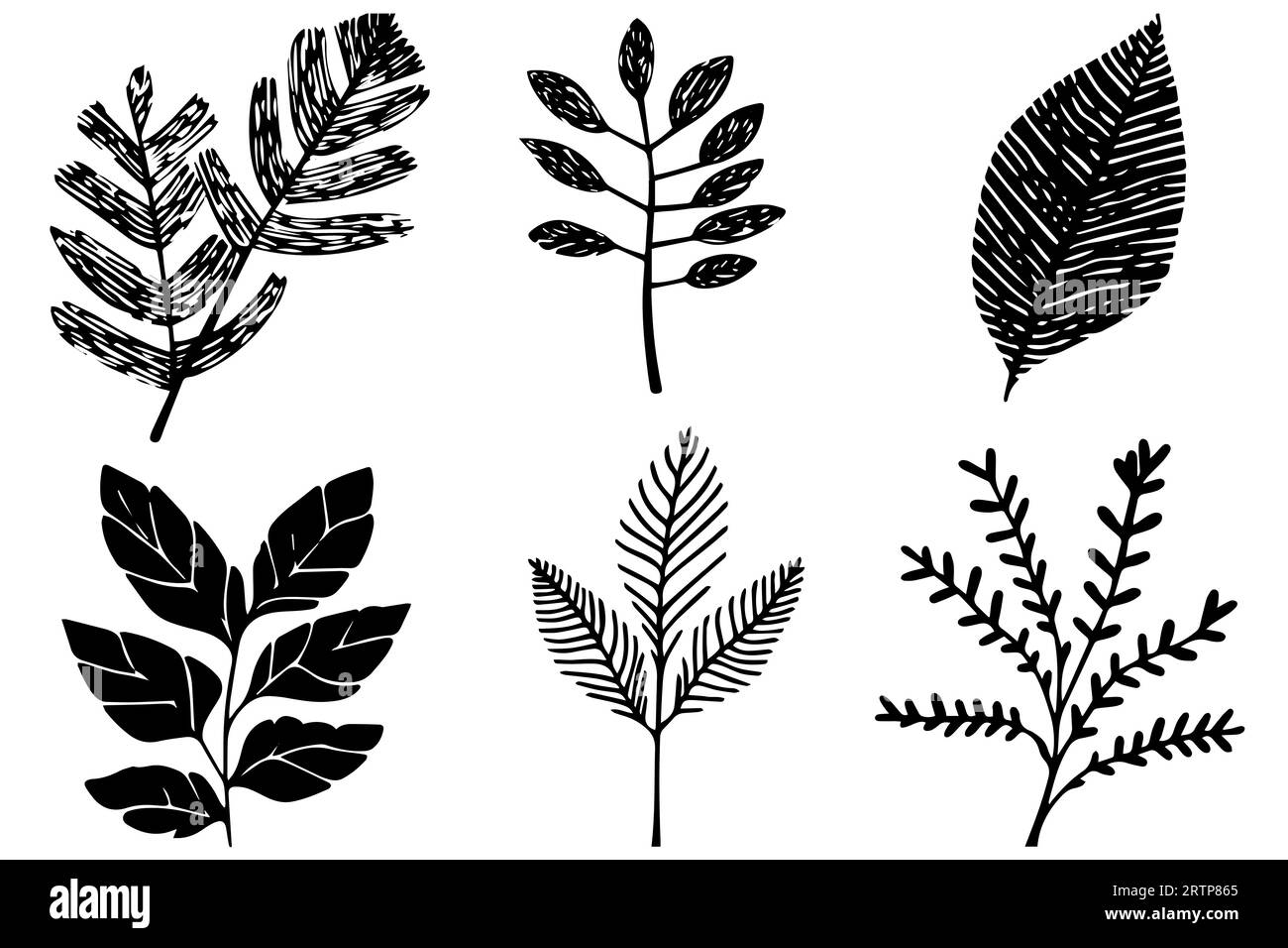 Set of lino cut vector stamp black leaves and branch imprints on white ...