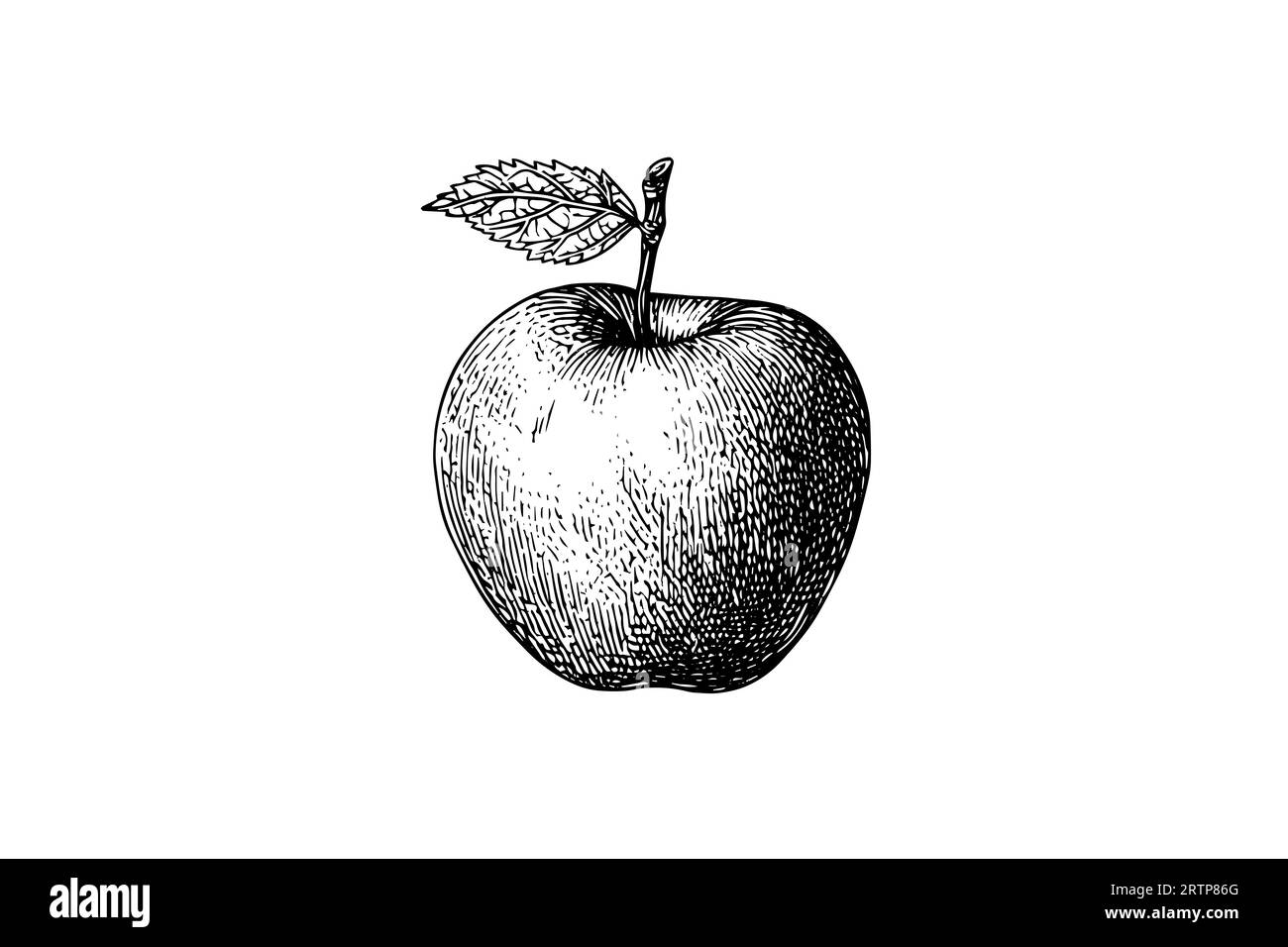Apple fruit hand drawn engraving style vector illustrations Stock ...
