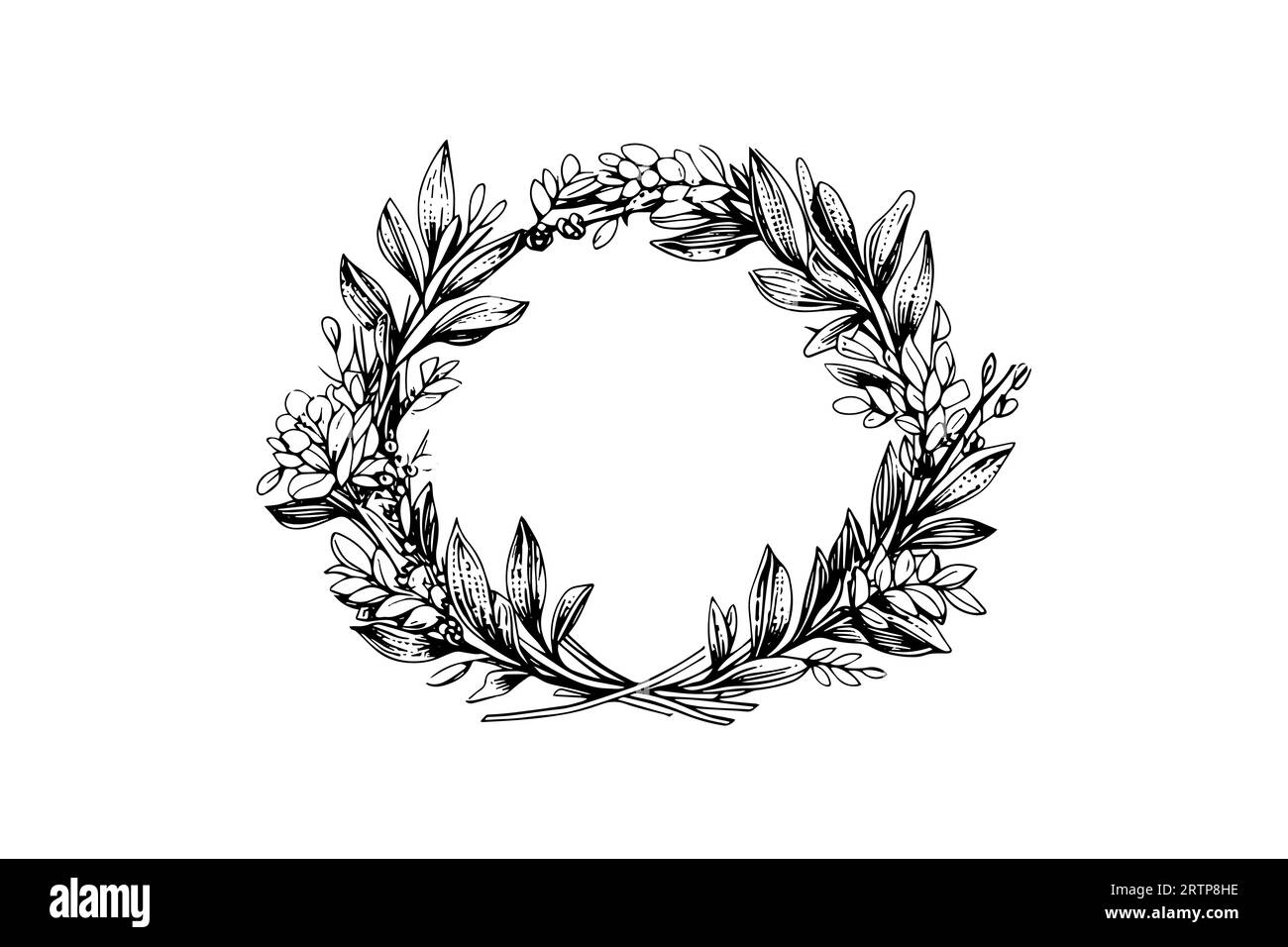 Laurel wreath vintage Baroque frame border monogram engraving vector ...