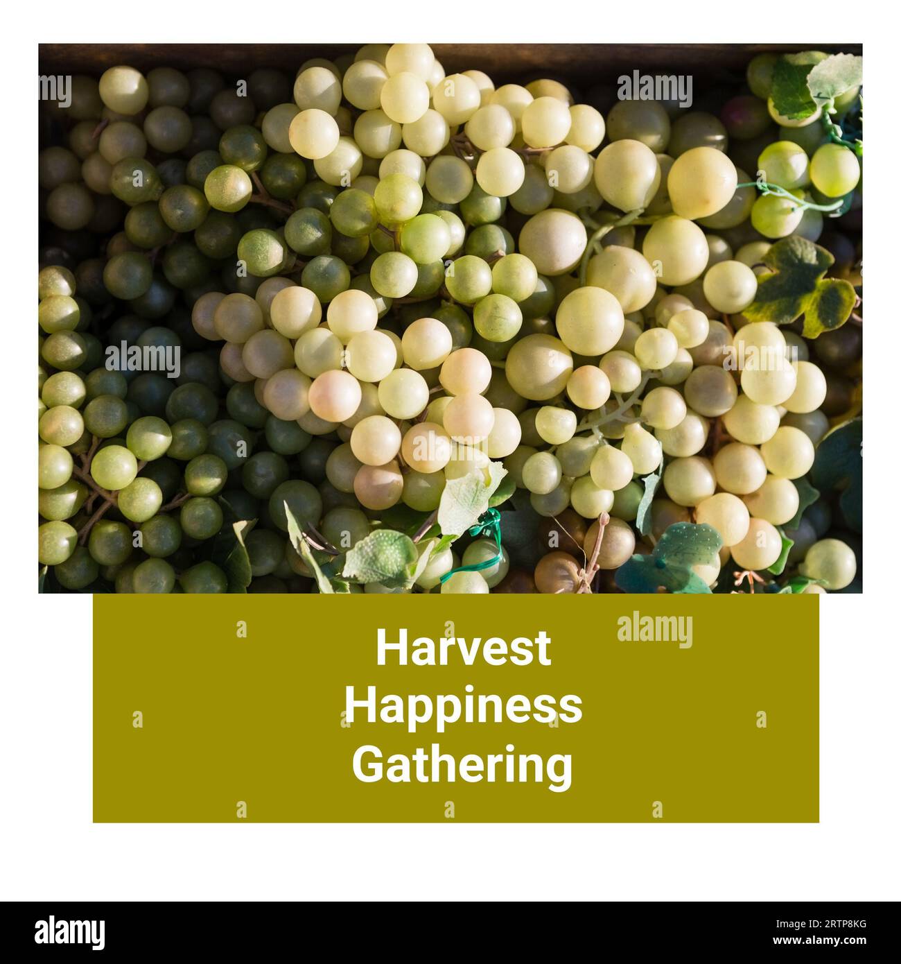 Gathering Cut Out Stock Images & Pictures - Alamy