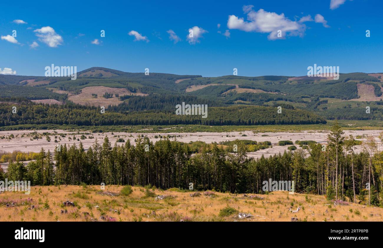 TOUTLE RIVER, WASHINGTON, USA - Tourle River Valley, Mount St. Helens ...