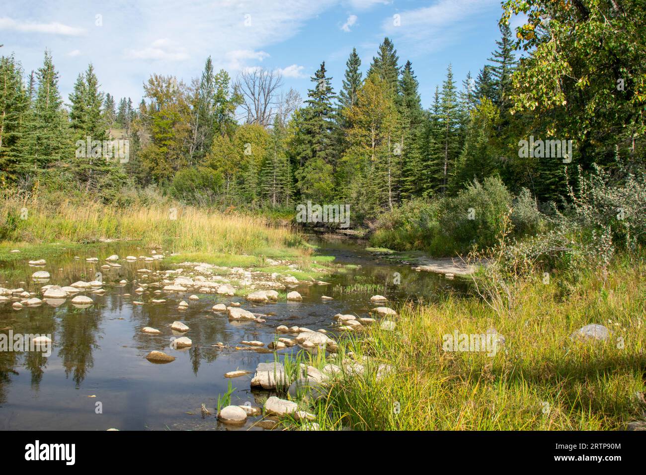 Fish Creek Provincial Park - Calgary, September 2023 Stock Photo - Alamy