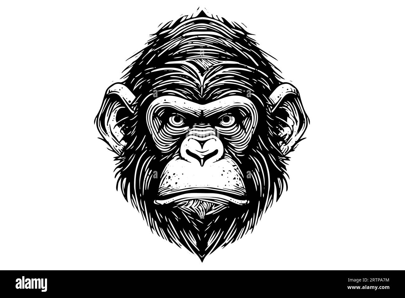 Monkey head or face hand drawn vector illustration in engraving style ...