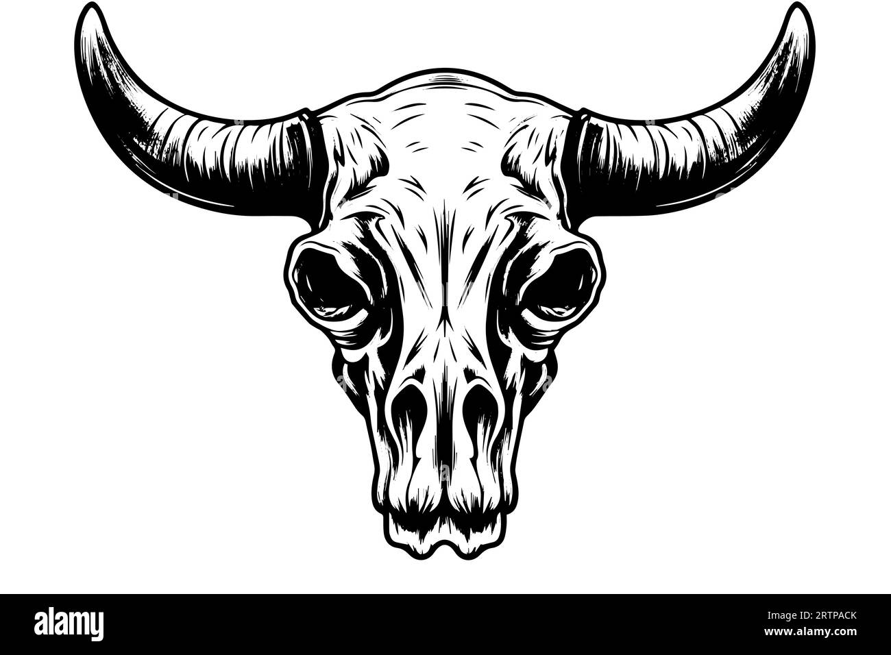 Buffalo skull hand drawn vector illustration in engraving style ink ...