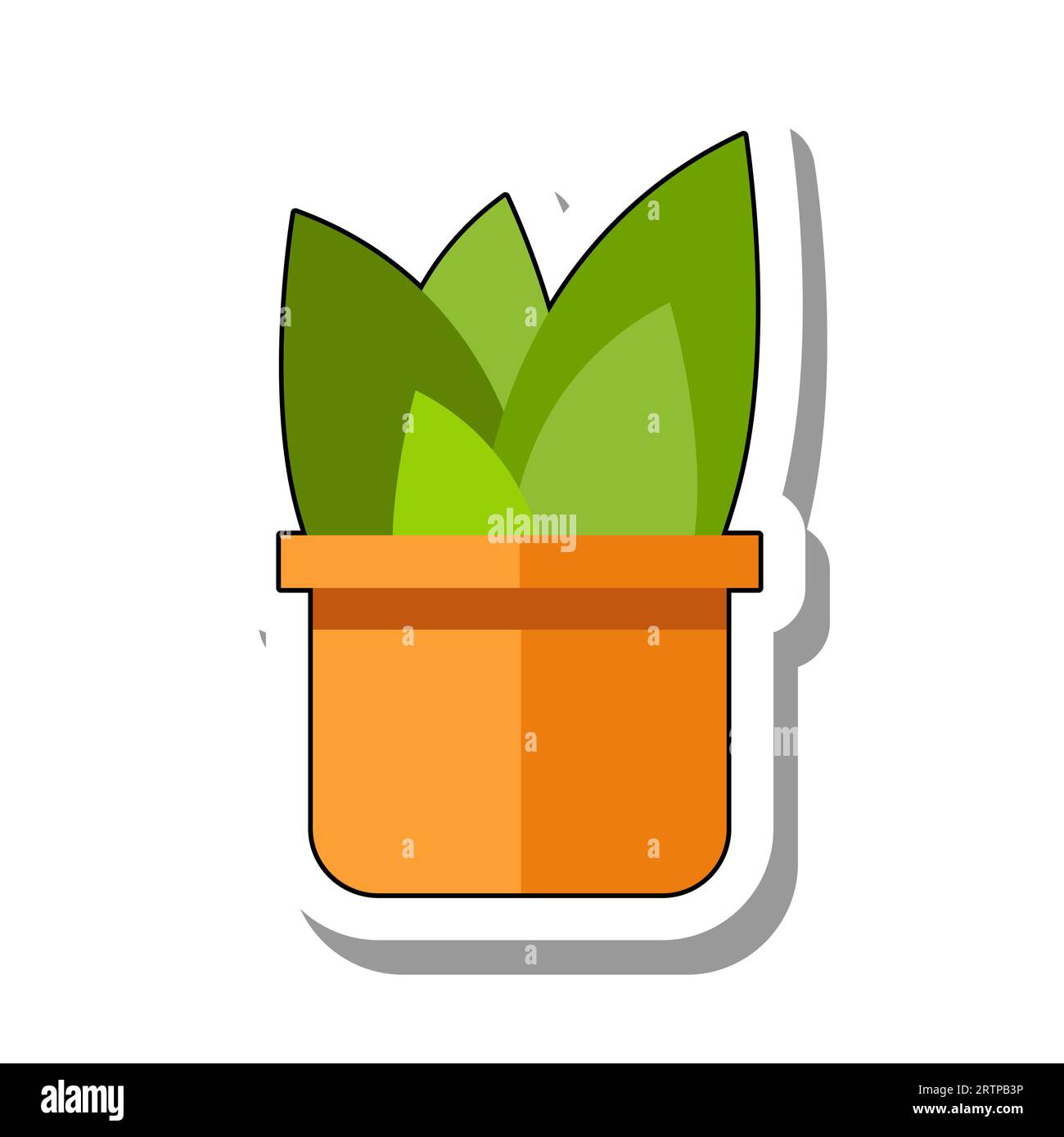 Very drought tolerant Cut Out Stock Images & Pictures - Alamy