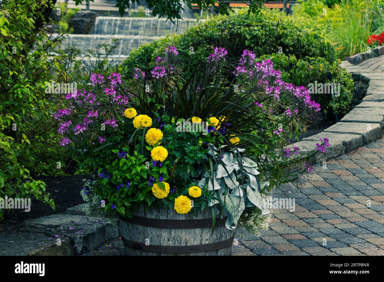 Multiple border hi-res stock photography and images - Alamy