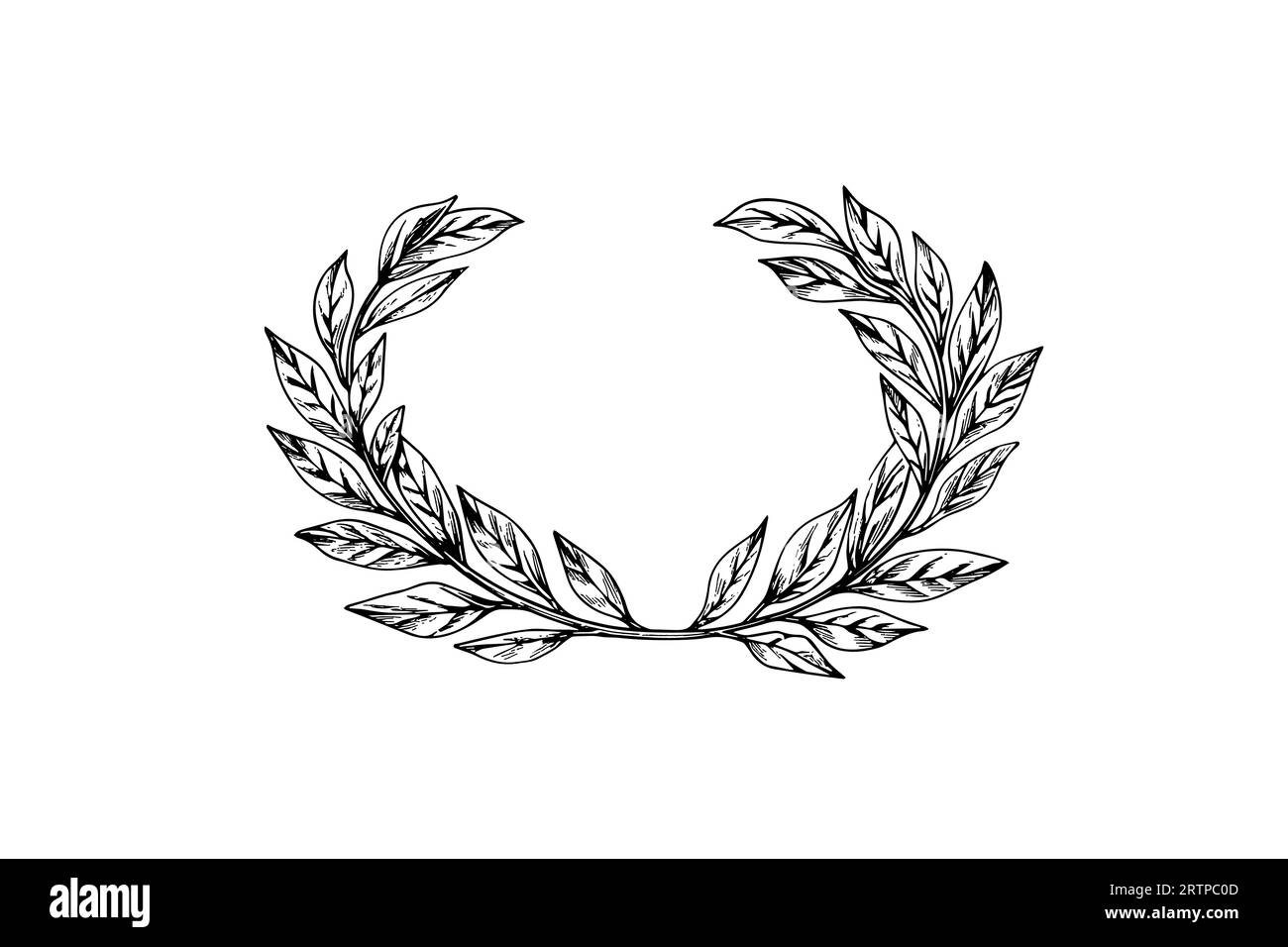 Laurel wreath vintage Baroque frame border monogram engraving vector ...