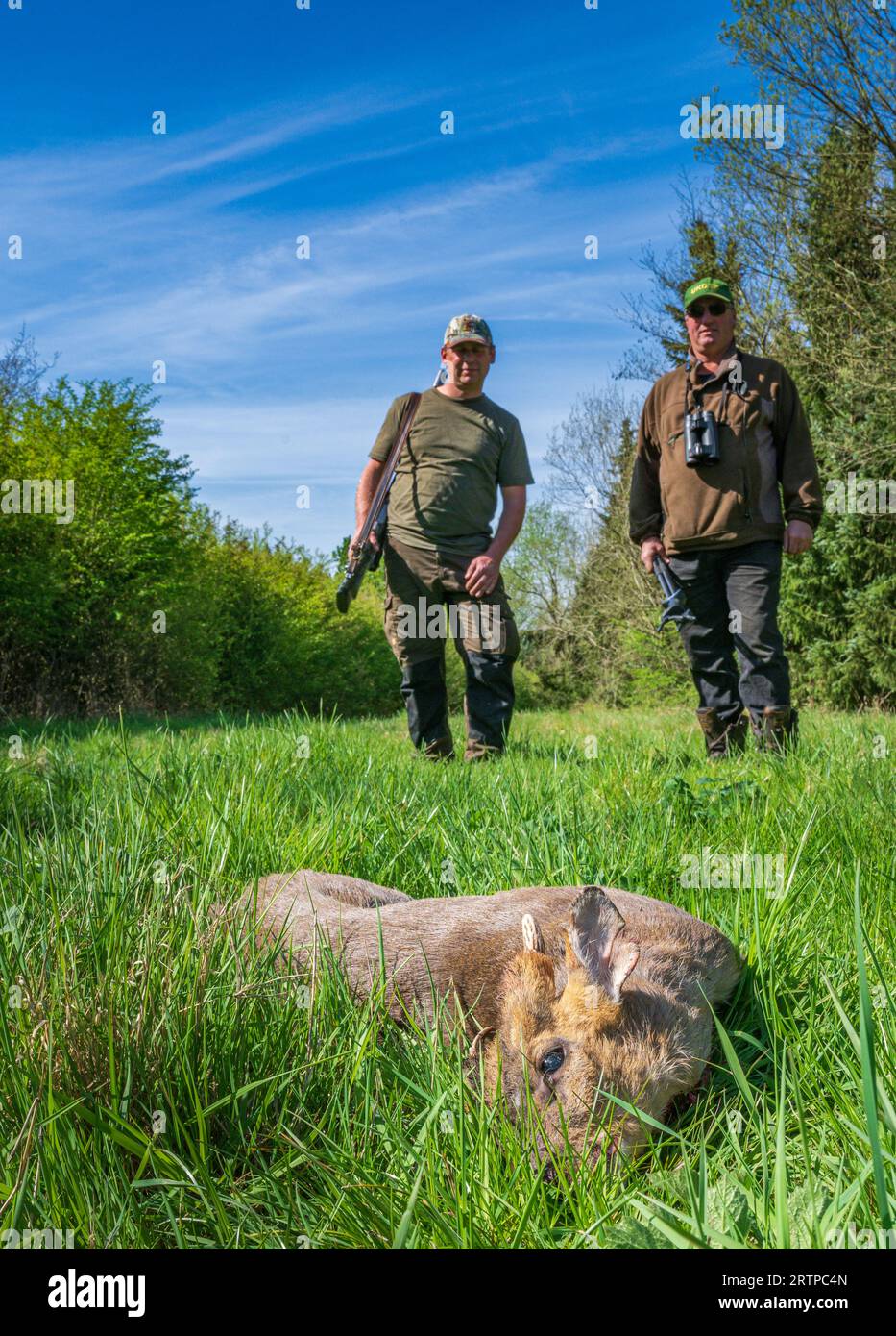 Sustainable deer management hi-res stock photography and images - Alamy