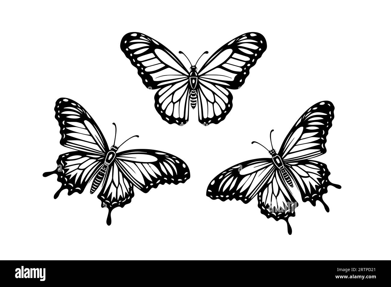 Set of butterfly sketch. Hand drawn engraving style vector illustration ...