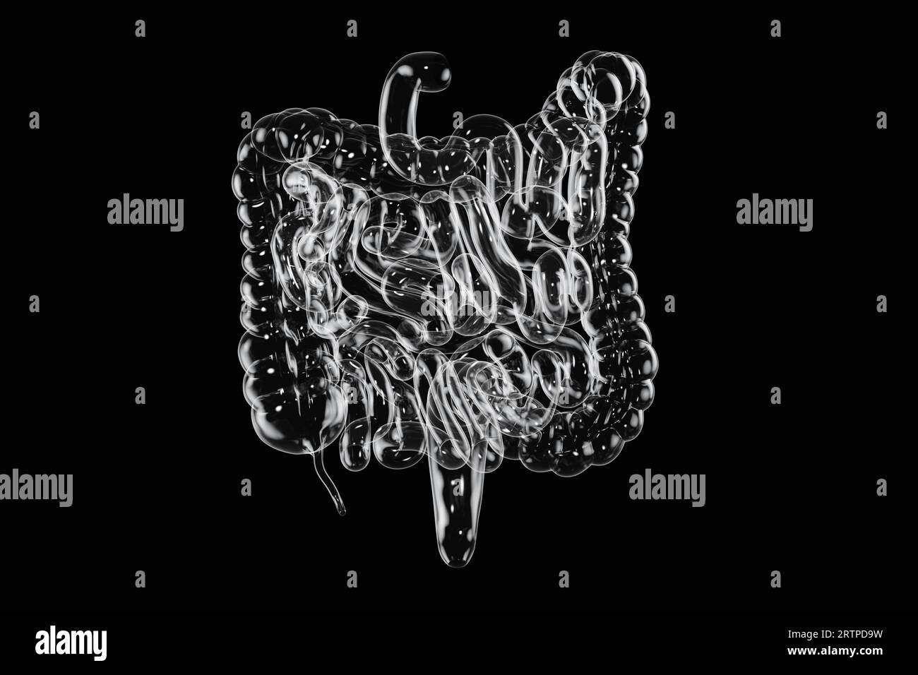 Human intestine made of glass. 3D rendering of large and small ...