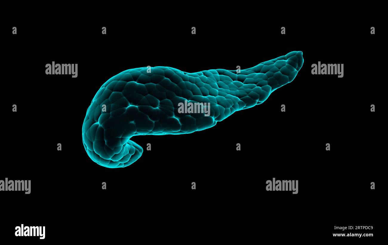 Pancreas xray hi-res stock photography and images - Alamy