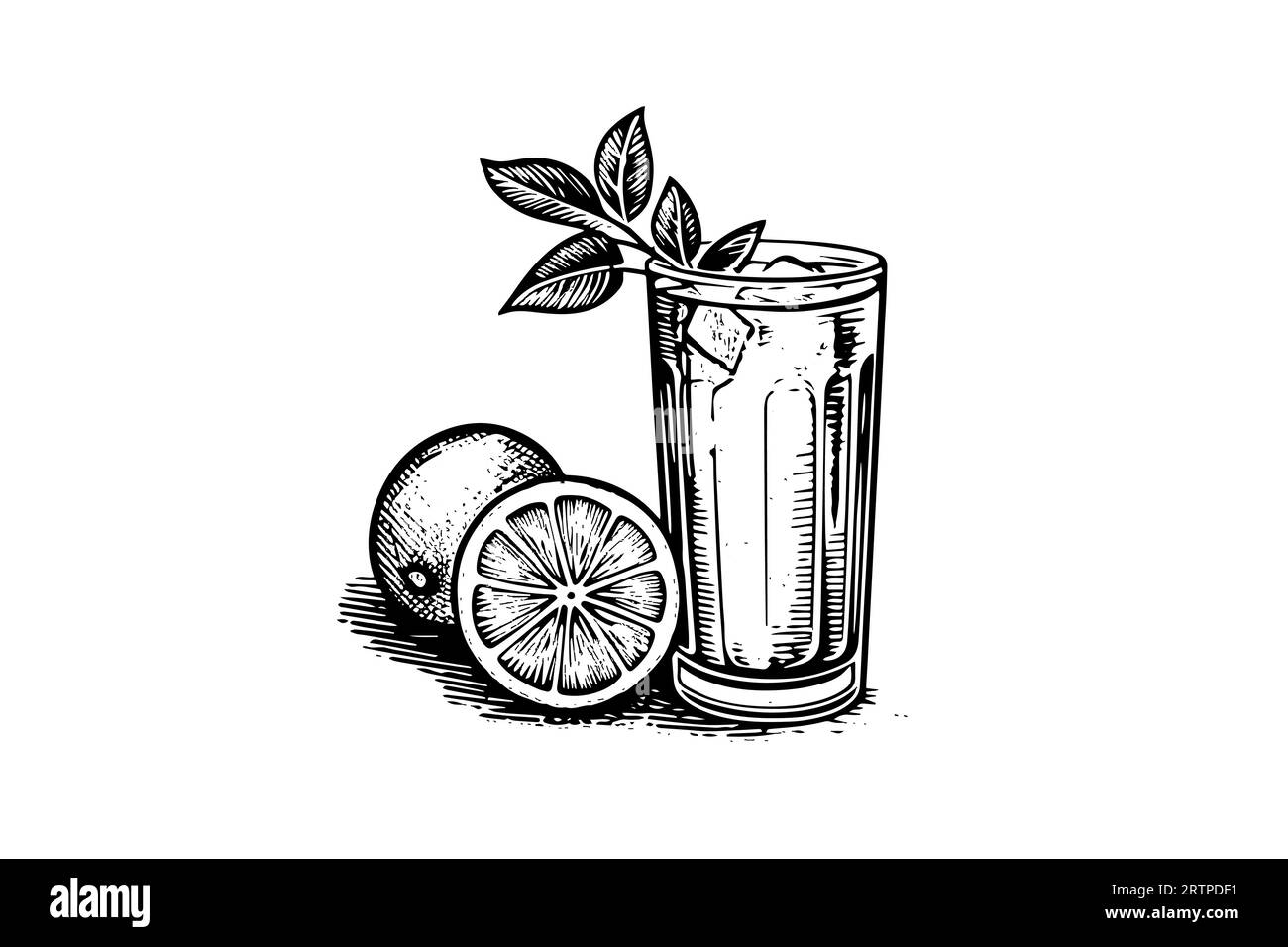 Drink lemonade with lemon and mint hand drawn engraving style vector illustration Stock Vector ...