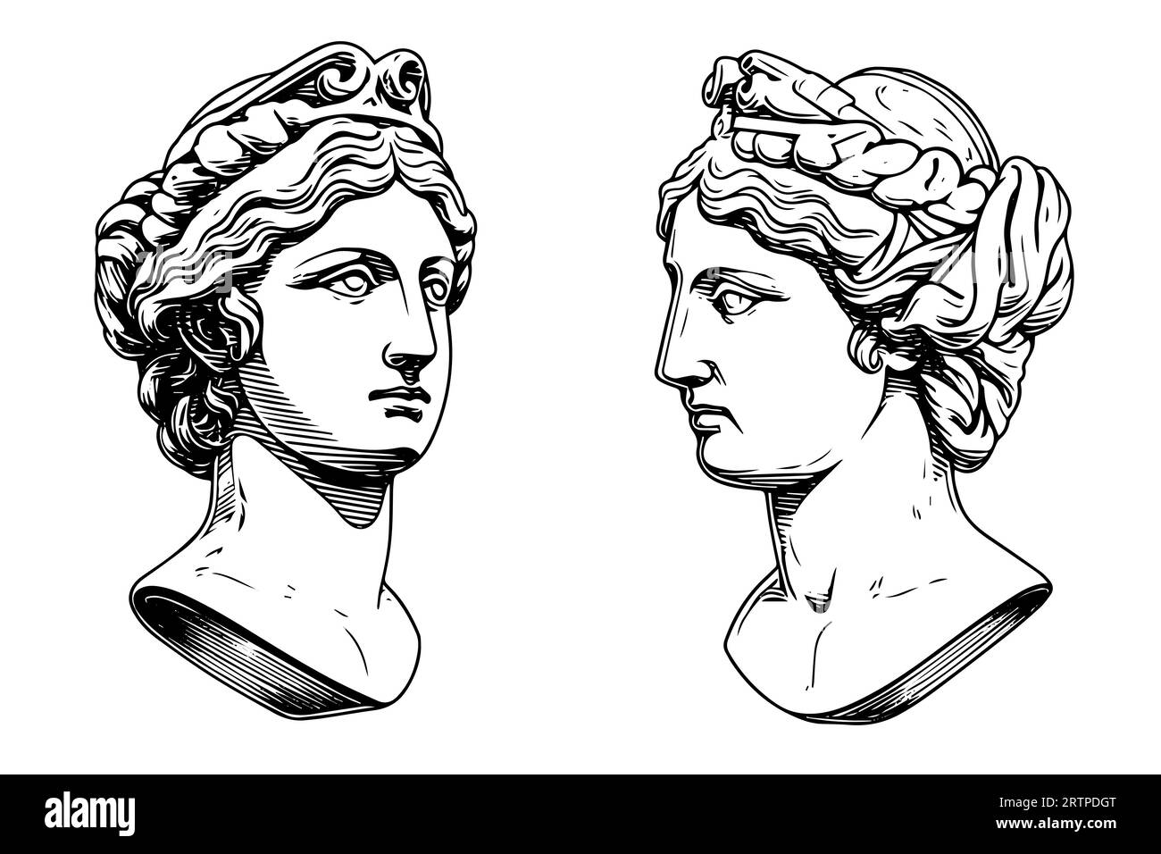 Cracked statue head of greek sculpture hand drawn engraving style ...