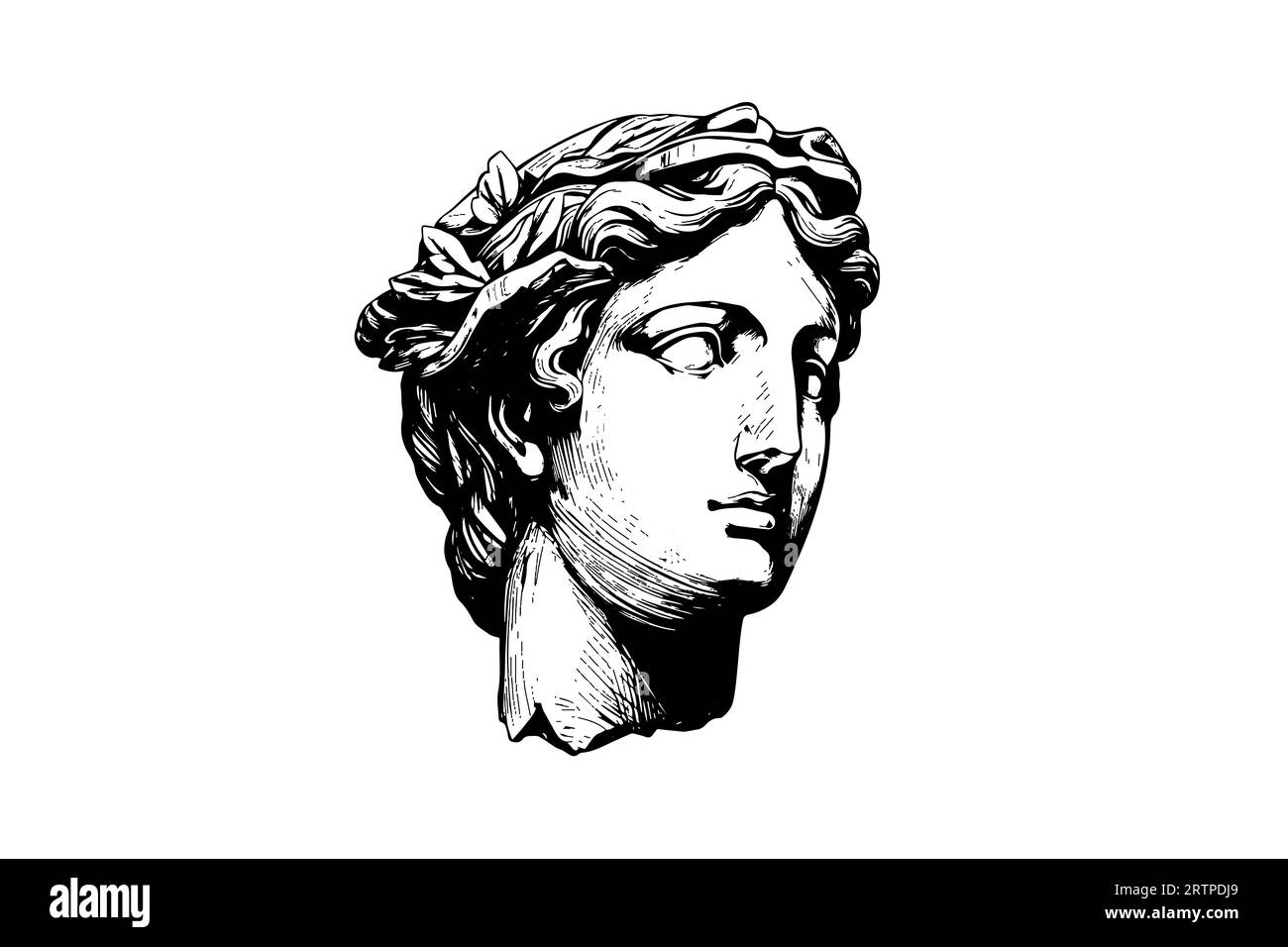 Antique statue head of greek sculpture sketch engraving style vector ...