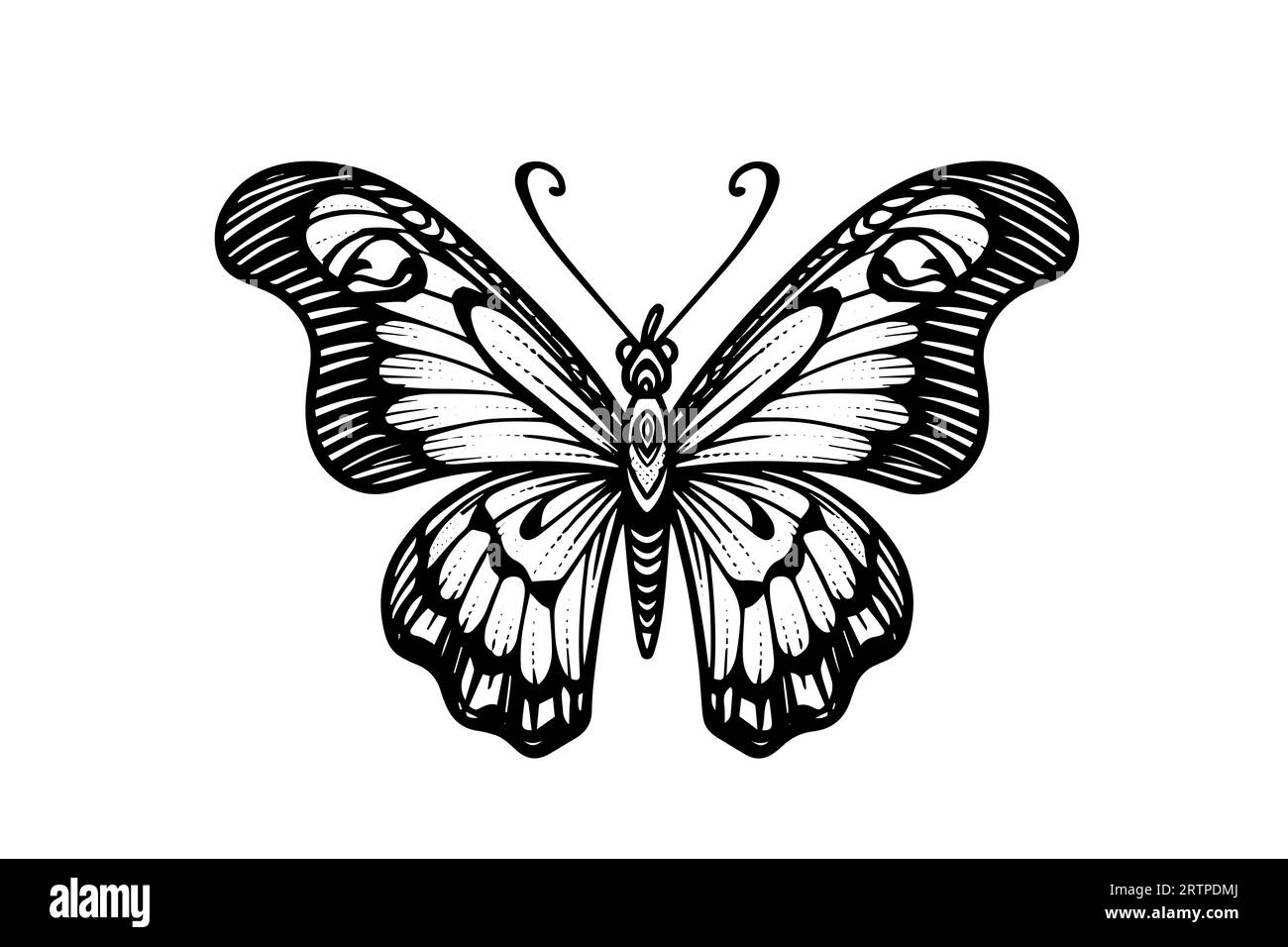 Butterfly sketch. Hand drawn engraving style vector illustration Stock ...