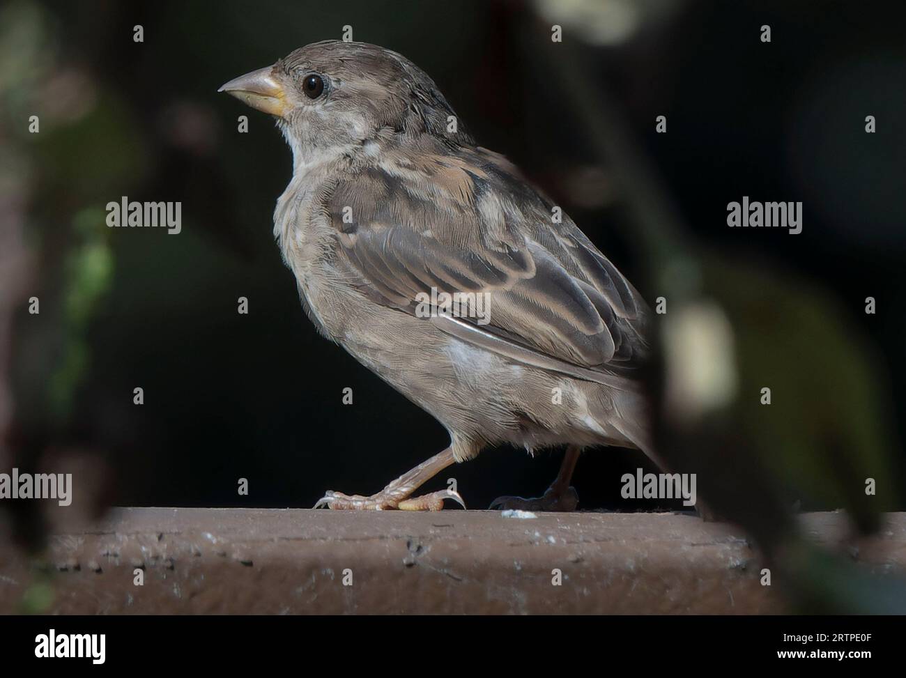 Up gray hi-res stock photography and images - Alamy