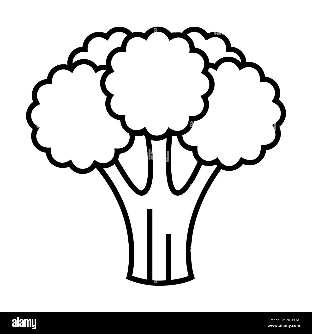 Simple outline of fresh broccoli vector icon Stock Vector Image & Art - Alamy