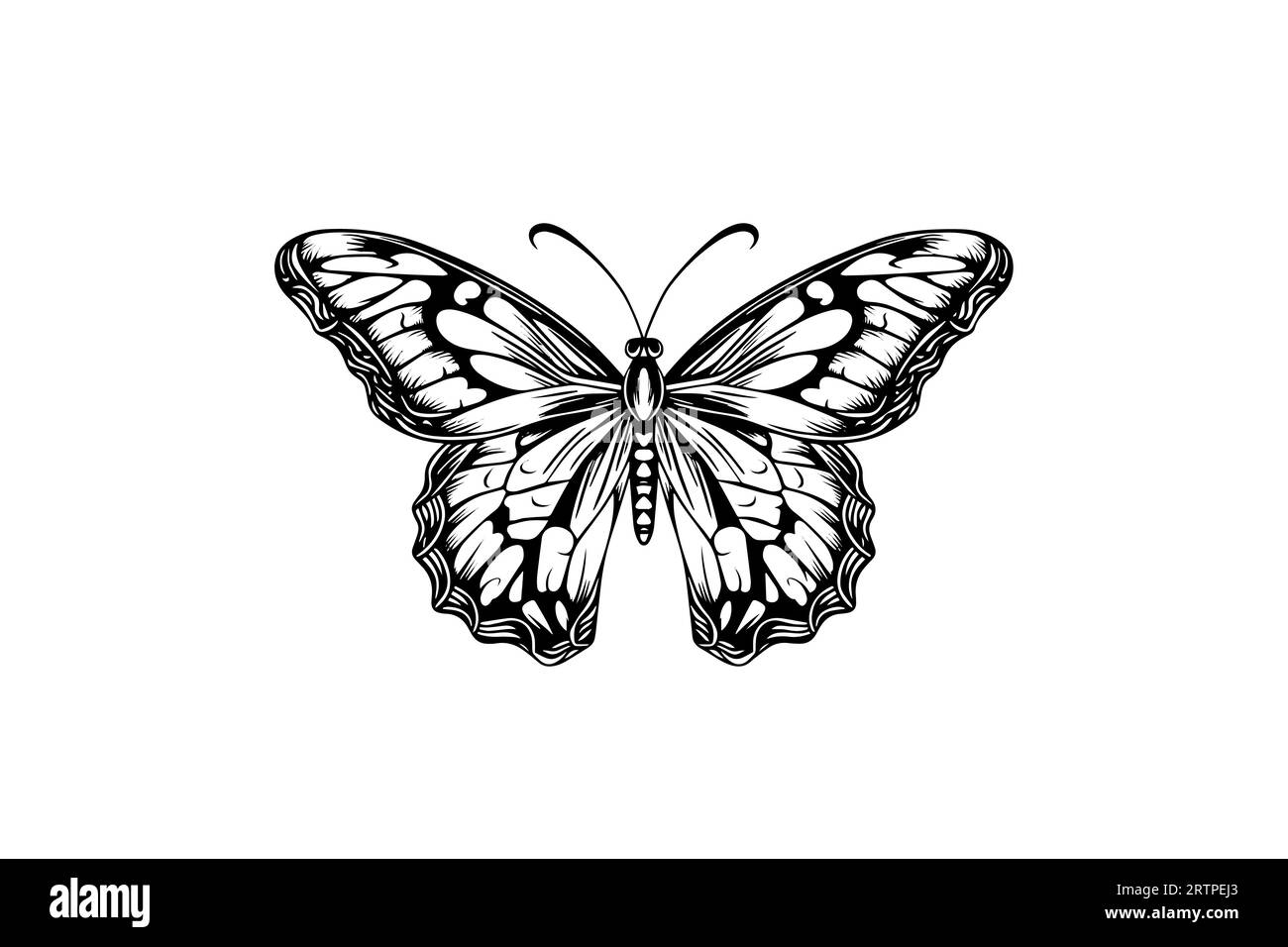 Butterfly sketch. Hand drawn engraving style vector illustration Stock ...
