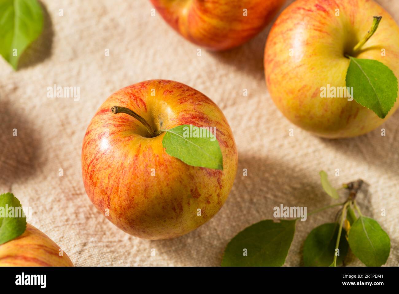 Healthy Organic Royal Gala Apples in a Bunch Stock Photo - Alamy