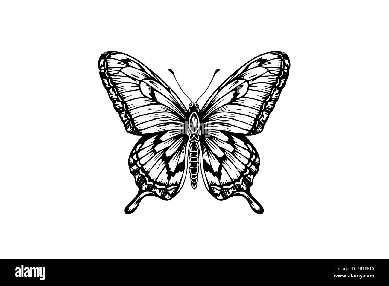 Butterfly sketch. Hand drawn engraving style vector illustration Stock ...