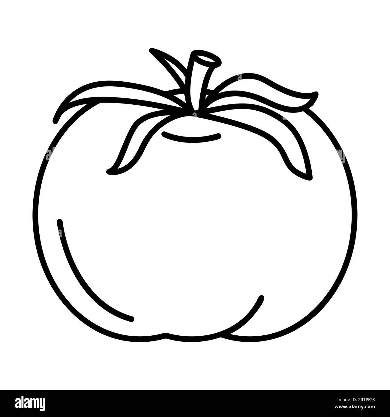 Simple outline of ripe healthy tomato vector icon Stock Vector Image ...