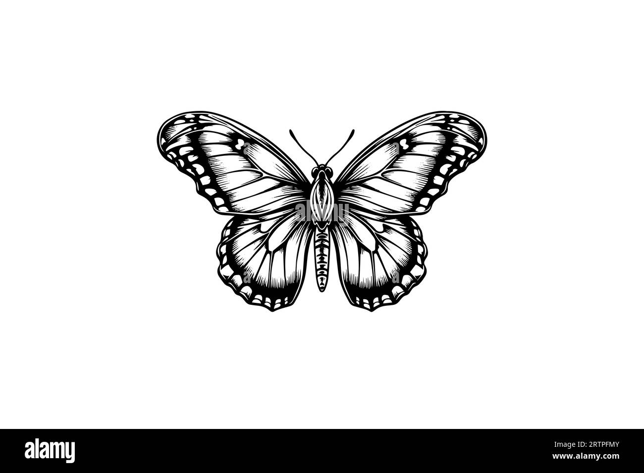 Butterfly sketch. Hand drawn engraving style vector illustration Stock ...