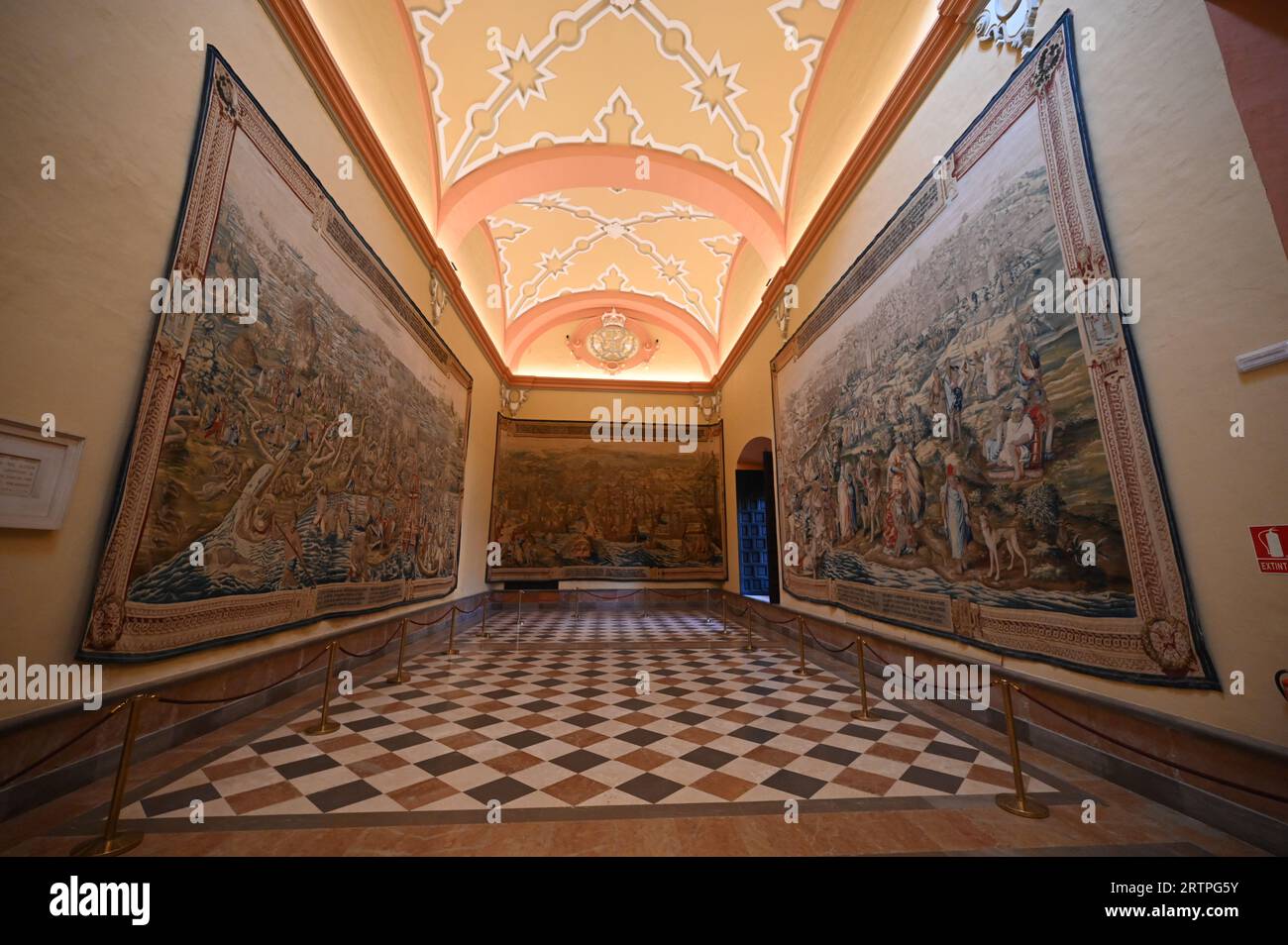 Detailed tapestries hi-res stock photography and images - Alamy