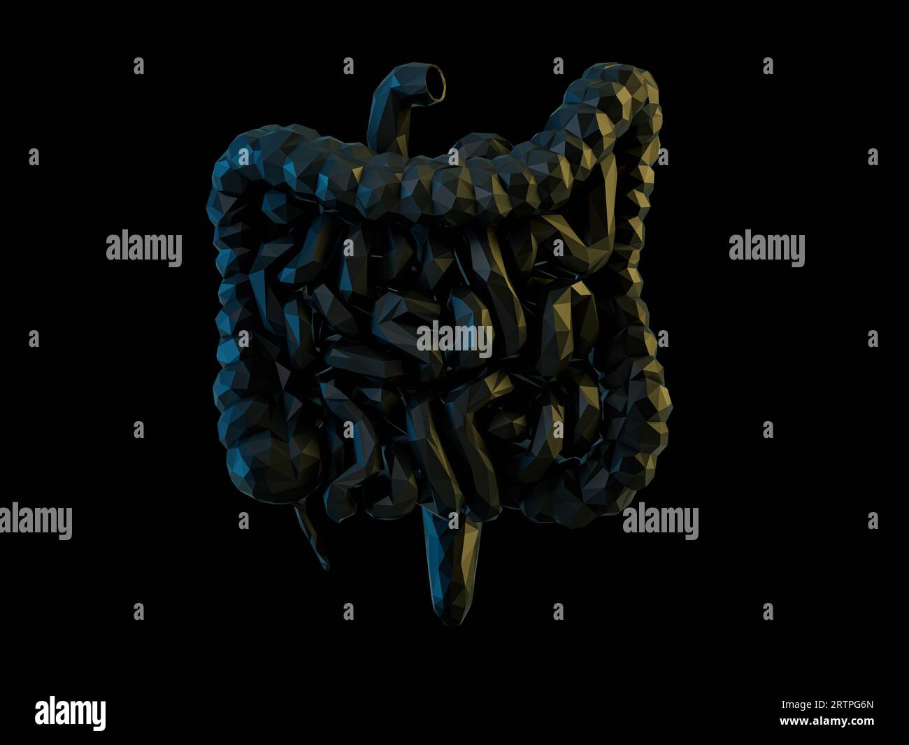 3d illustration of abstract low poly human internal organ - intestine ...
