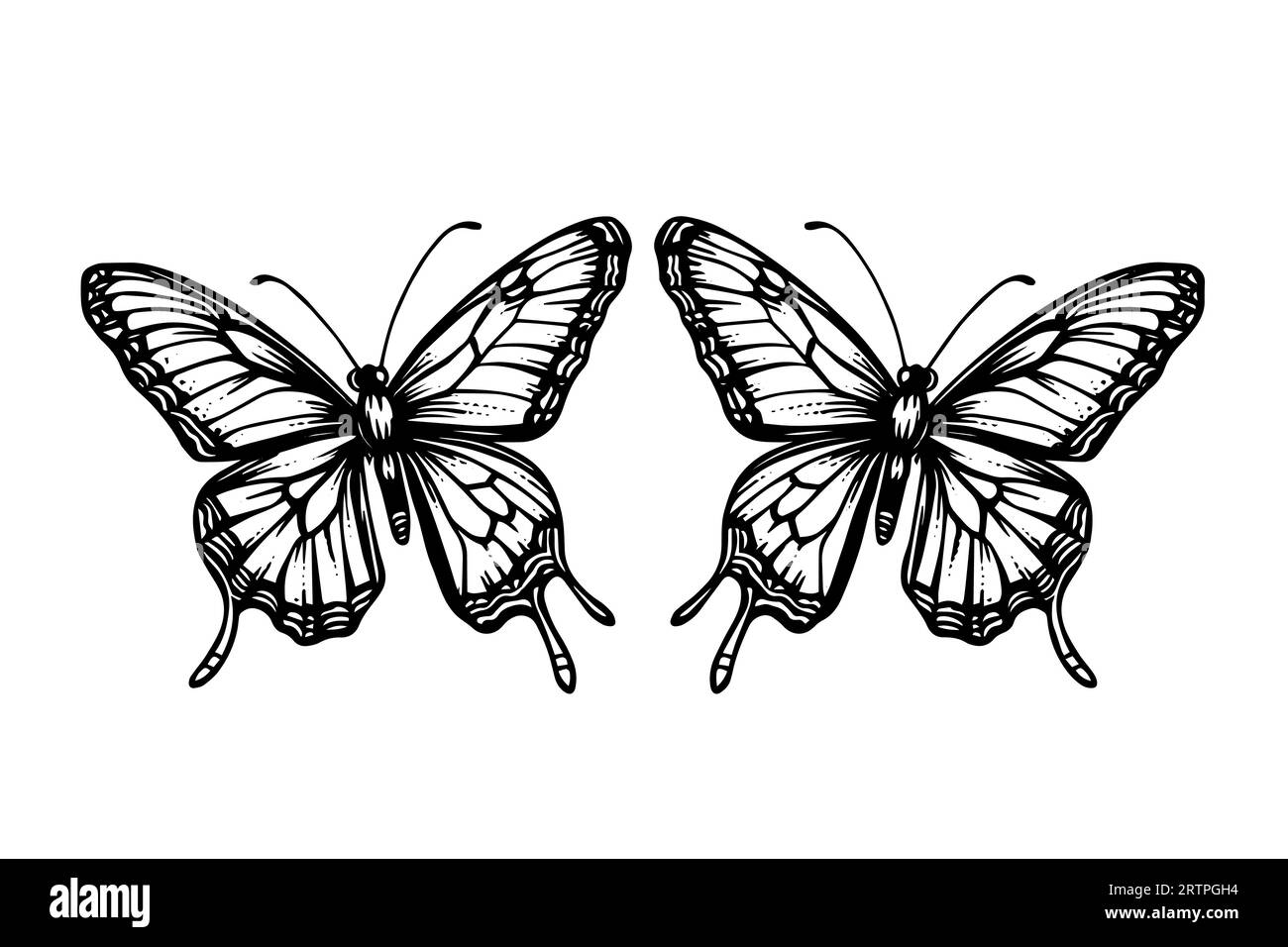 Set of butterfly sketch. Hand drawn engraving style vector illustration ...