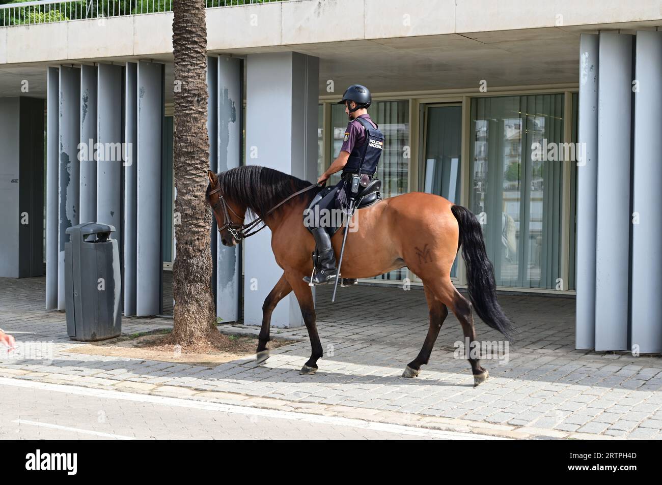 A single Spanish police rider Stock Photo - Alamy
