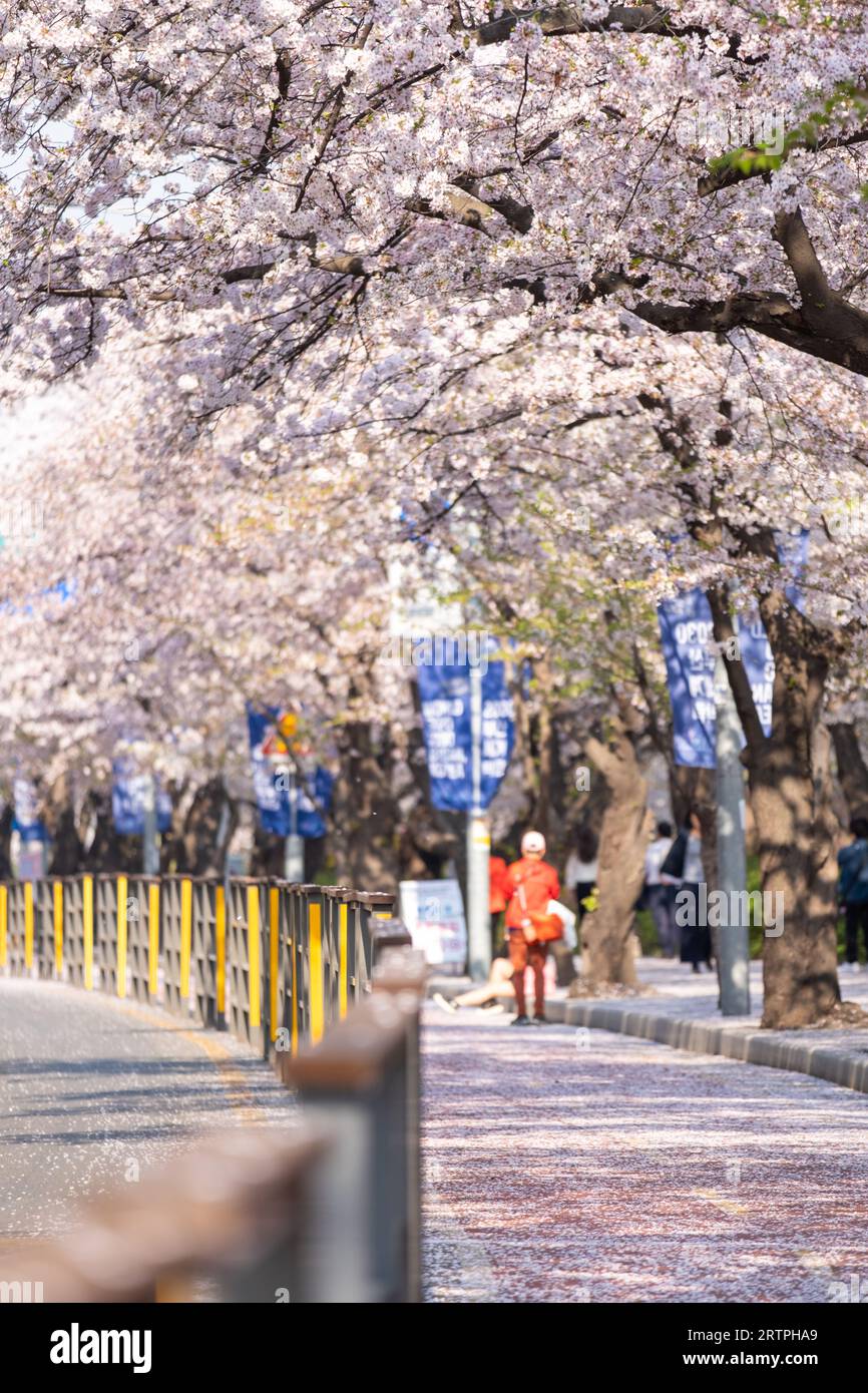 Seoul, South Korea - 3 April 2023: People walking along the street at ...