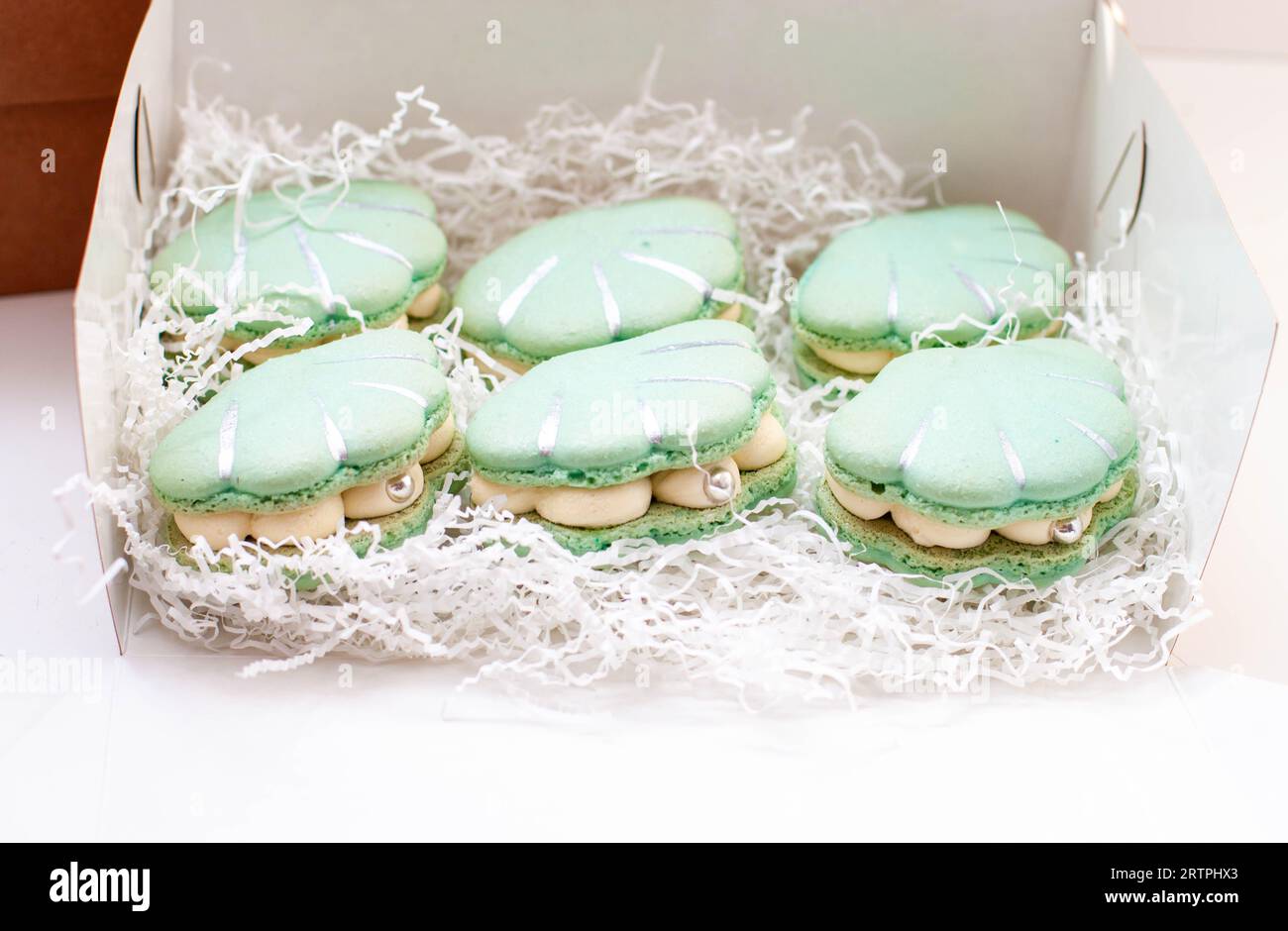 Sea shells shaped french macaroons in soft pastel green color in the ...
