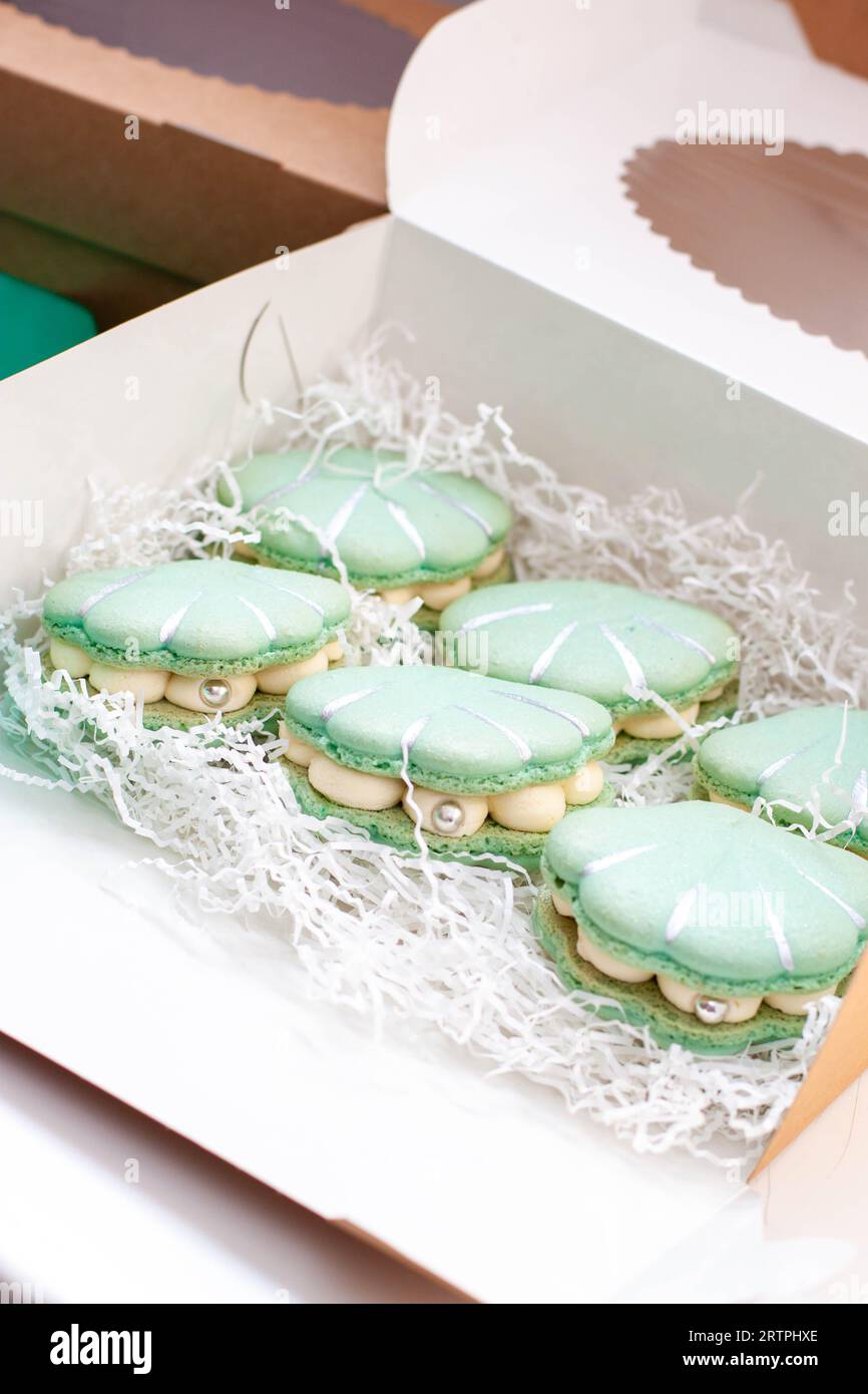 Sea shells shaped french macaroons in soft pastel green color in the ...