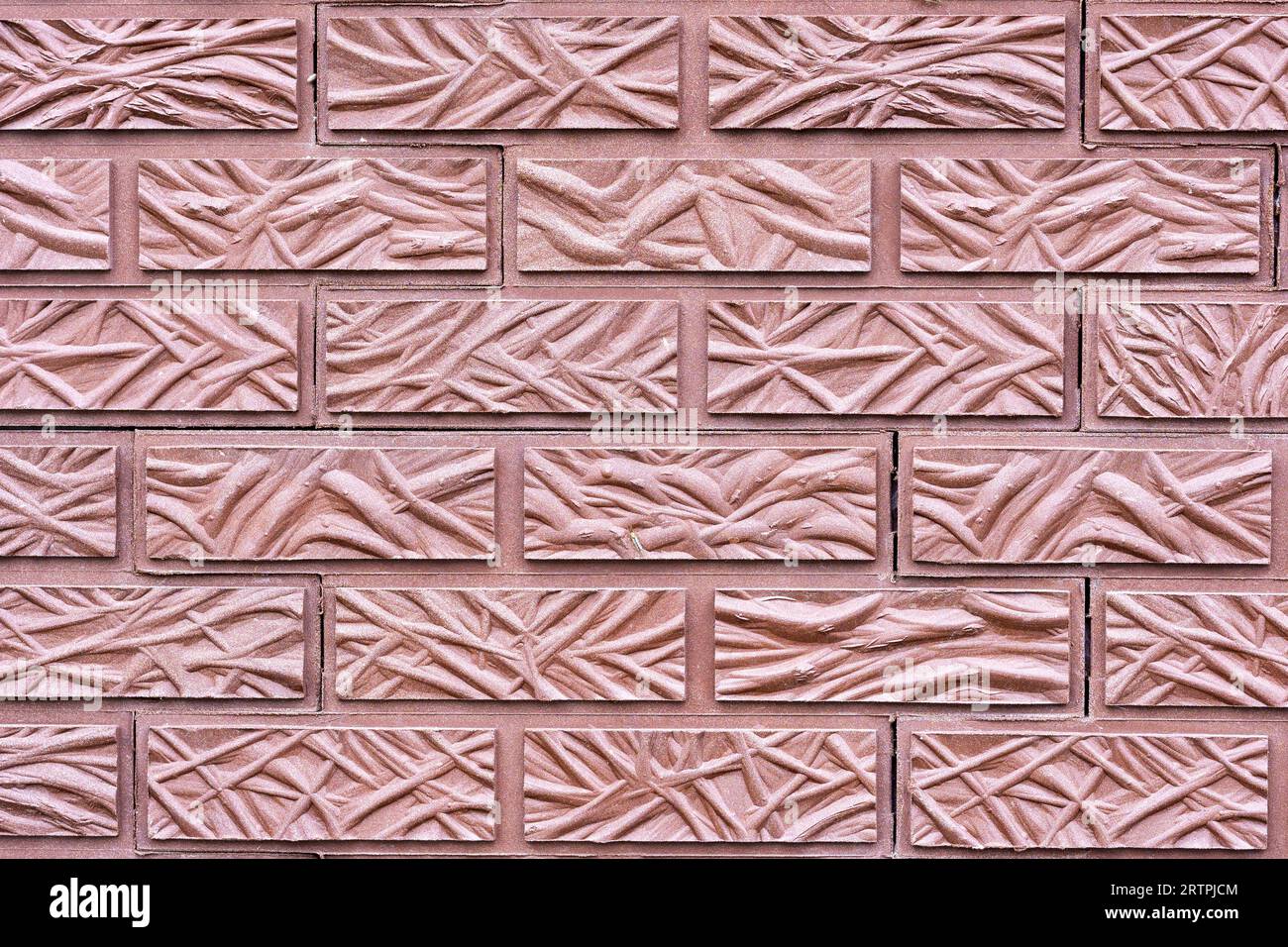 The texture is a brick wall. blossom, color, bloom, flower, coloring ...