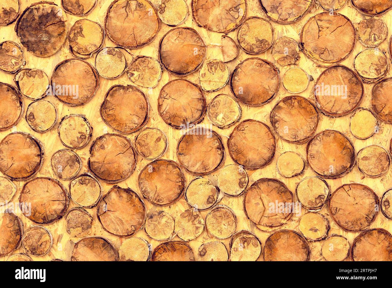 Texture square wooden bars . background of a tree. Wood Texture, Wooden ...
