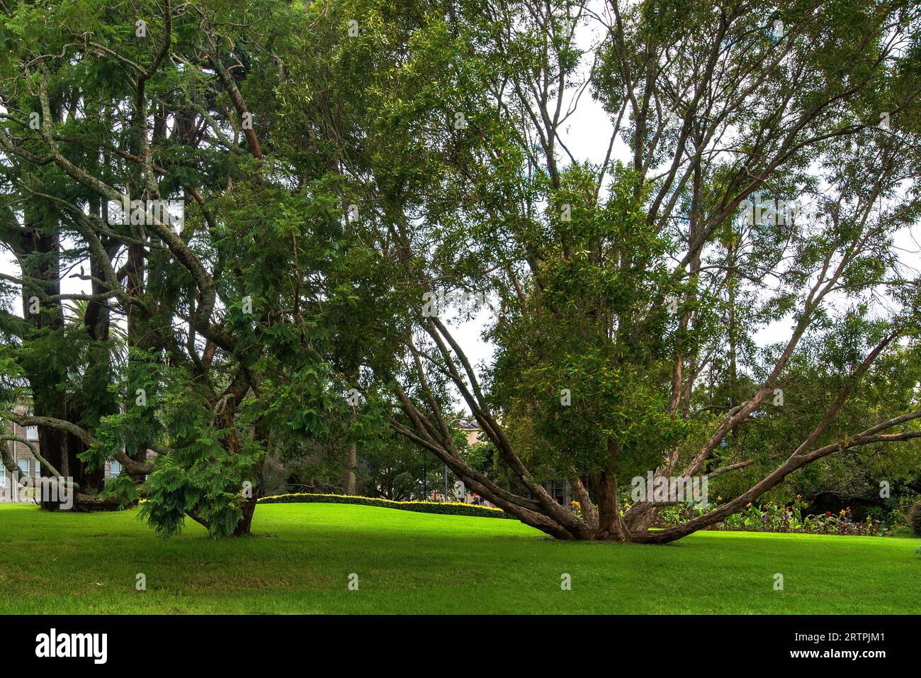 Economic heart of the auckland hi-res stock photography and images - Alamy