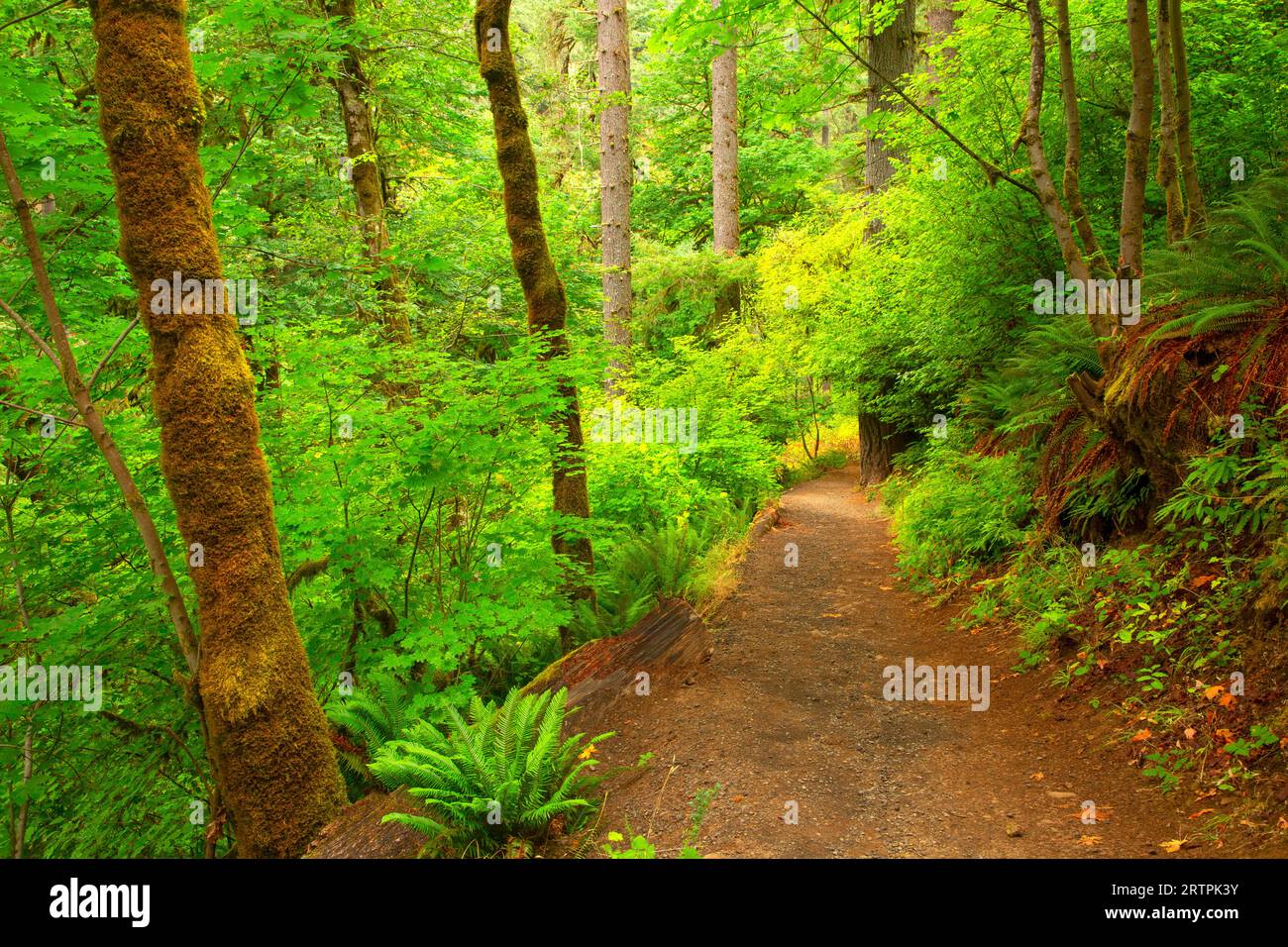 Woods canyon trail hi-res stock photography and images - Alamy