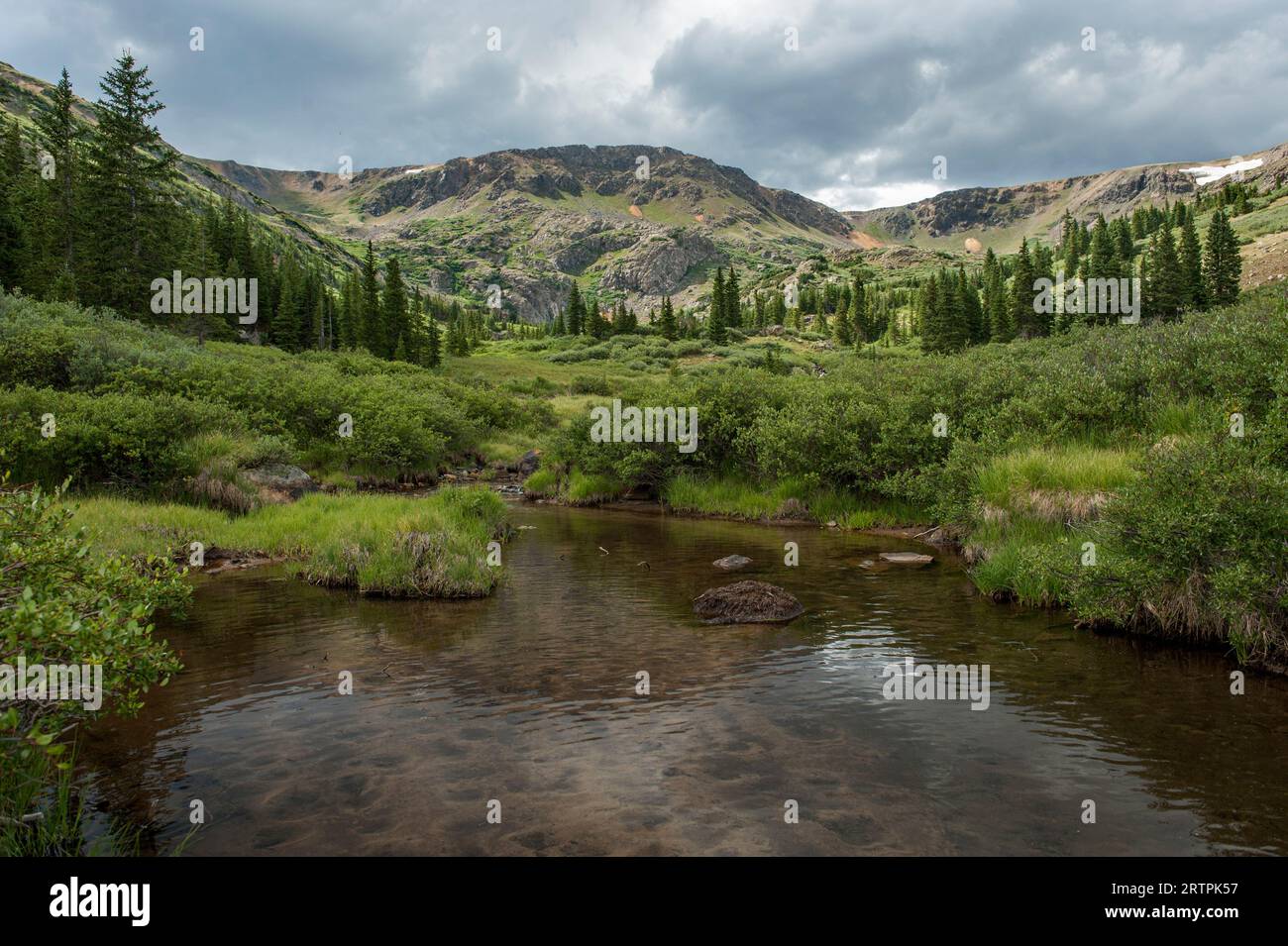 The North Fork of the South Platte, near its source at the top of Hall ...