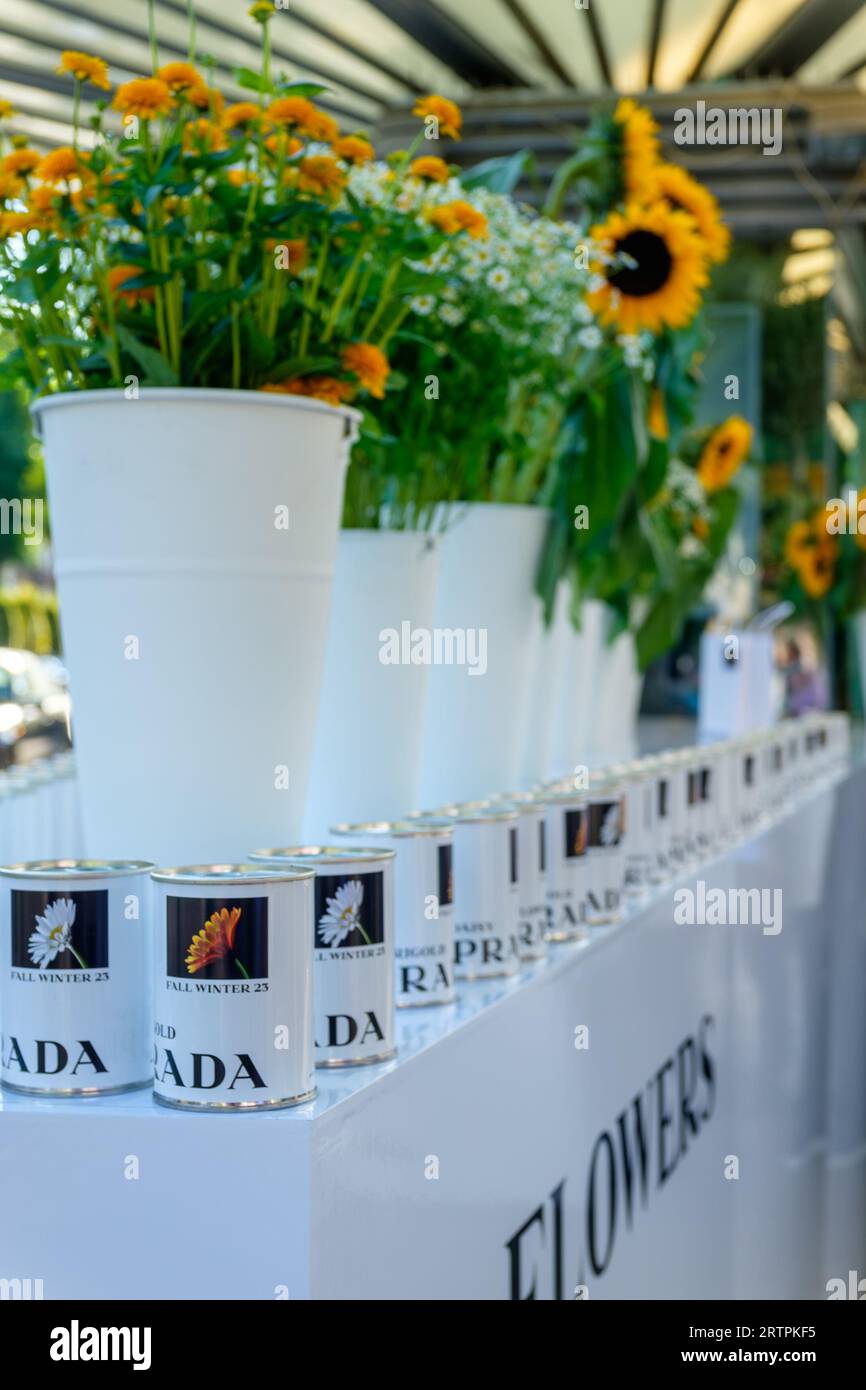 Prada hands out marigold, sunflower and daisy seeds in Notting Hill ...