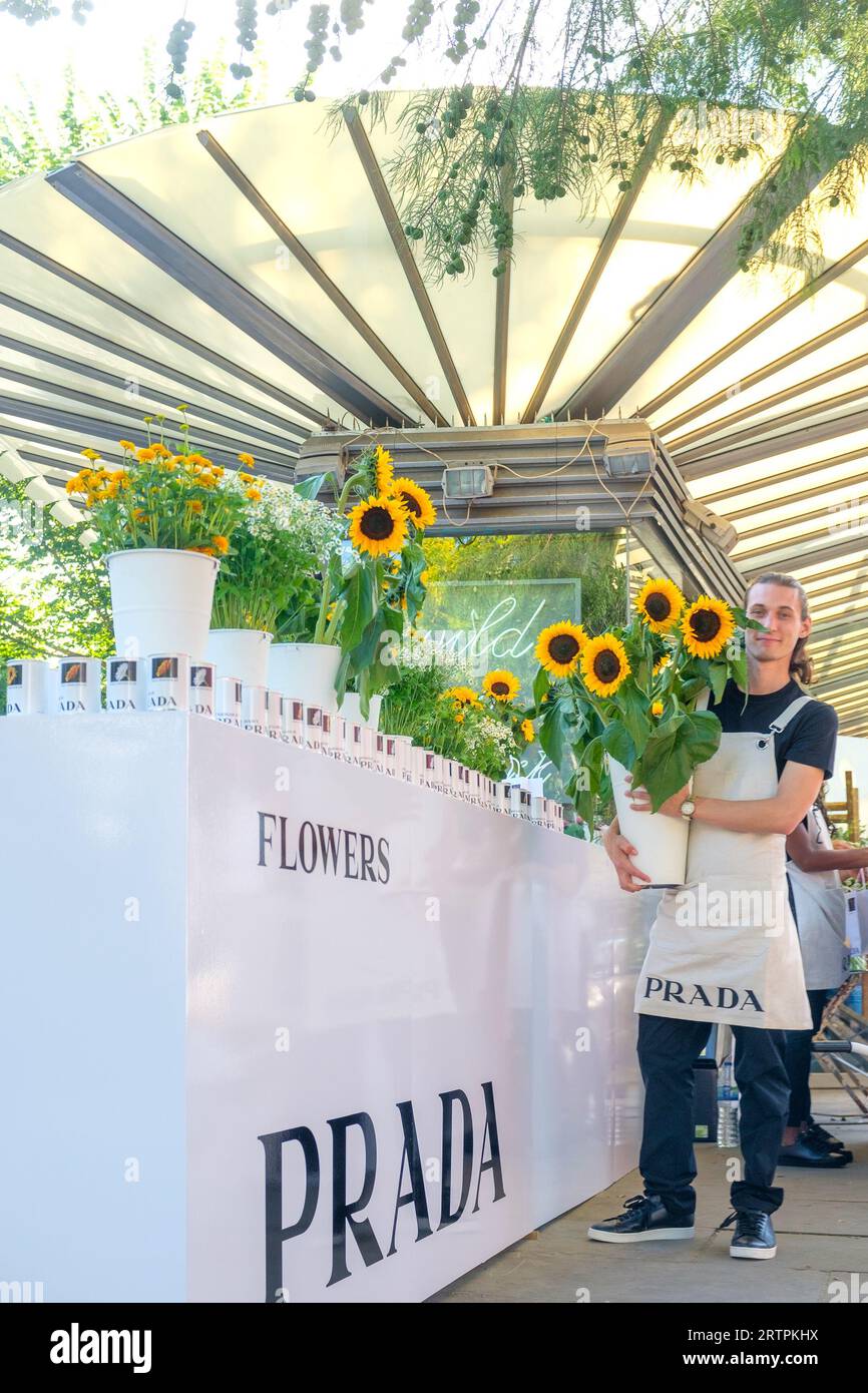 Prada hands out marigold, sunflower and daisy seeds in Notting Hill ...