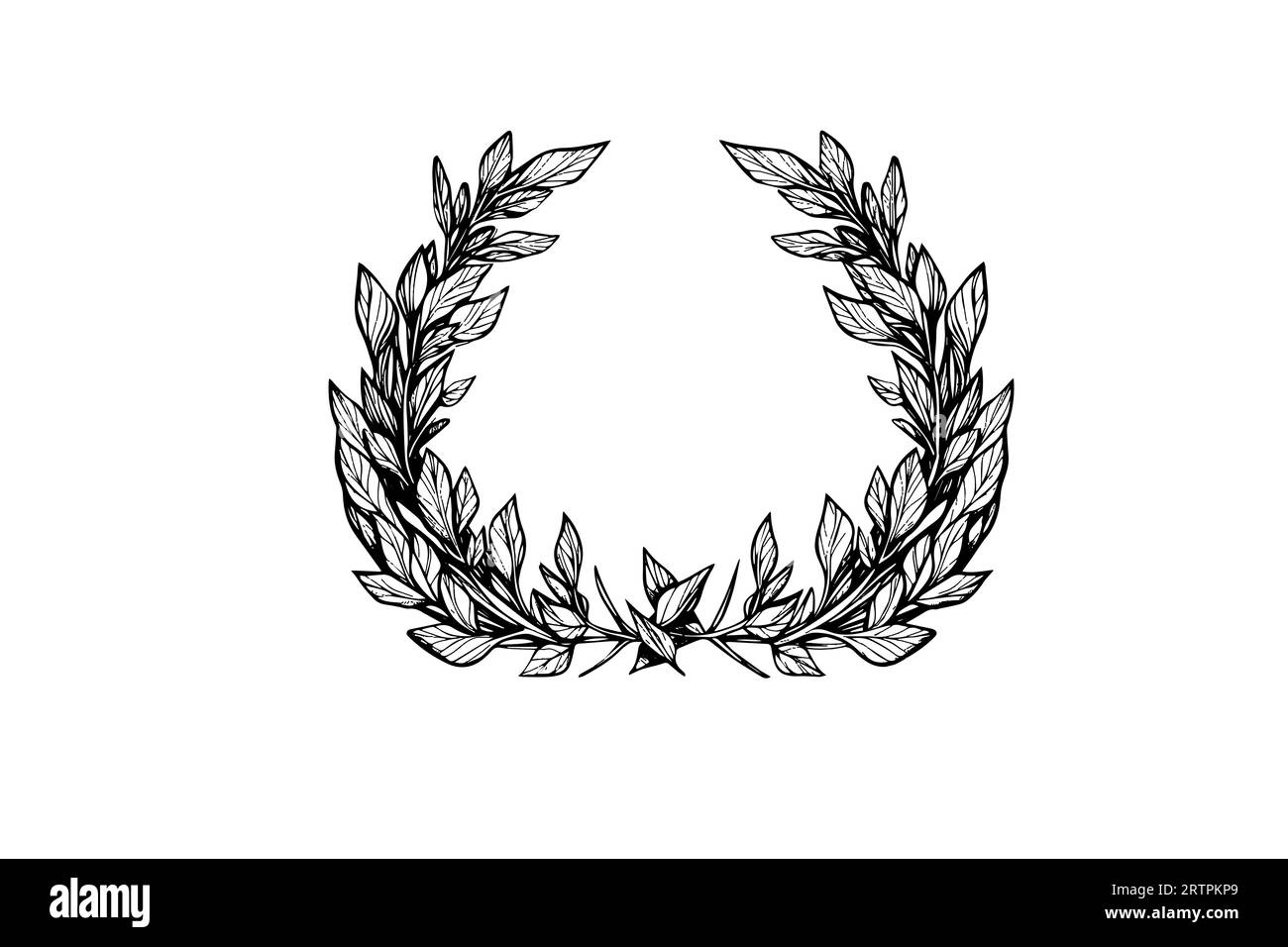 Laurel wreath vintage Baroque frame border monogram engraving vector ...