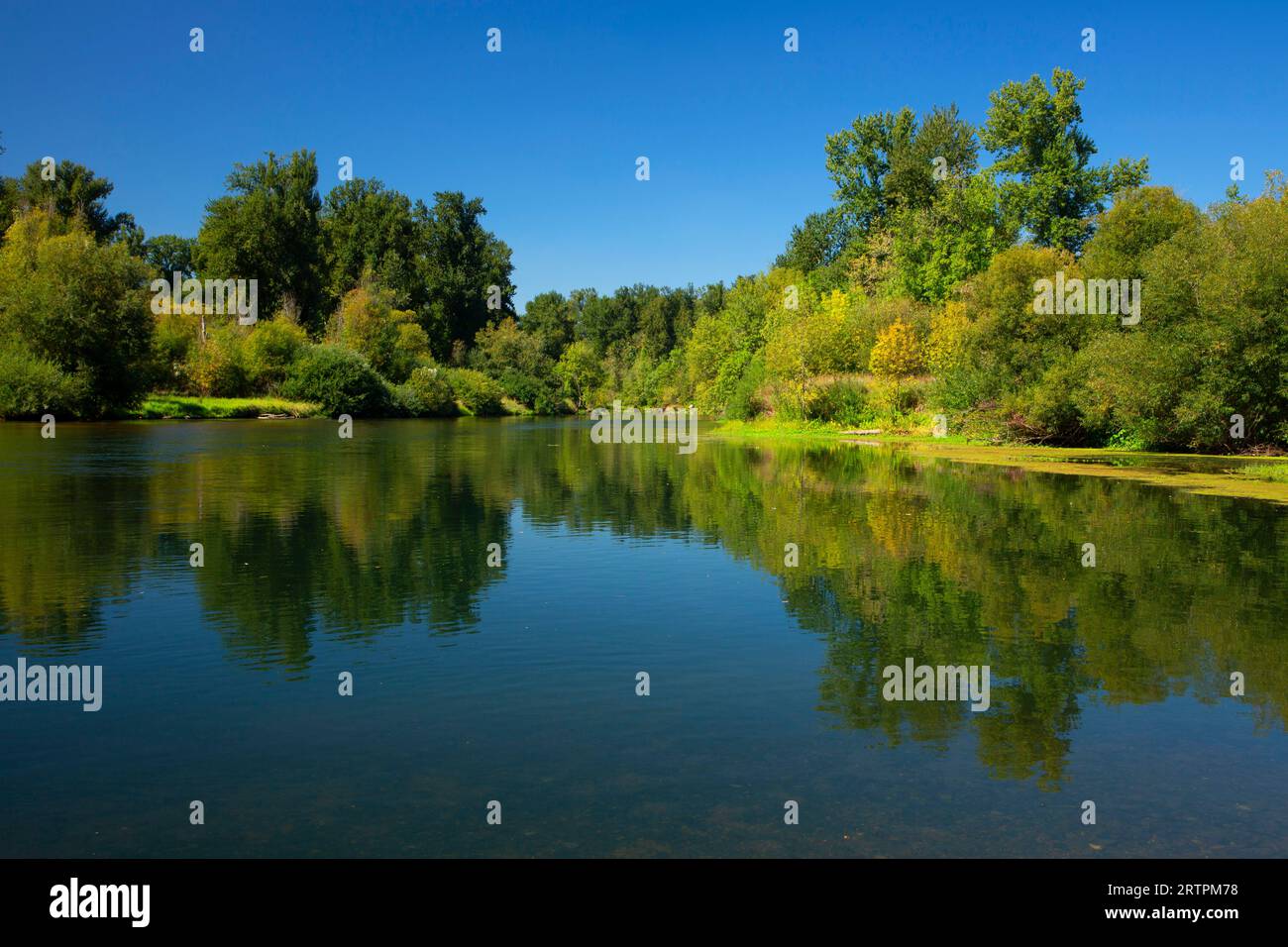 Cottonwood island oregon hi-res stock photography and images - Alamy