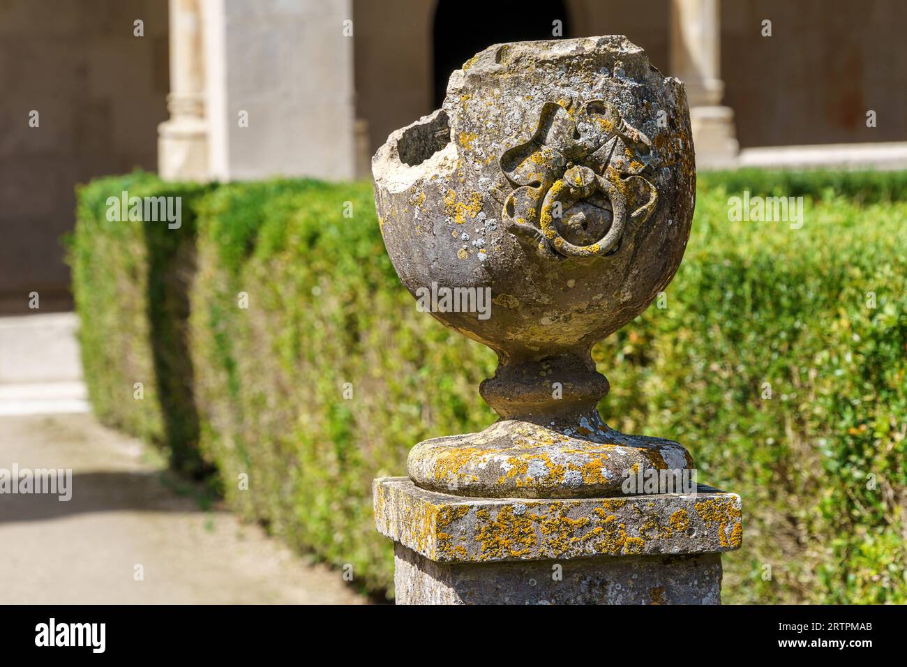 Vase detail hi-res stock photography and images - Alamy