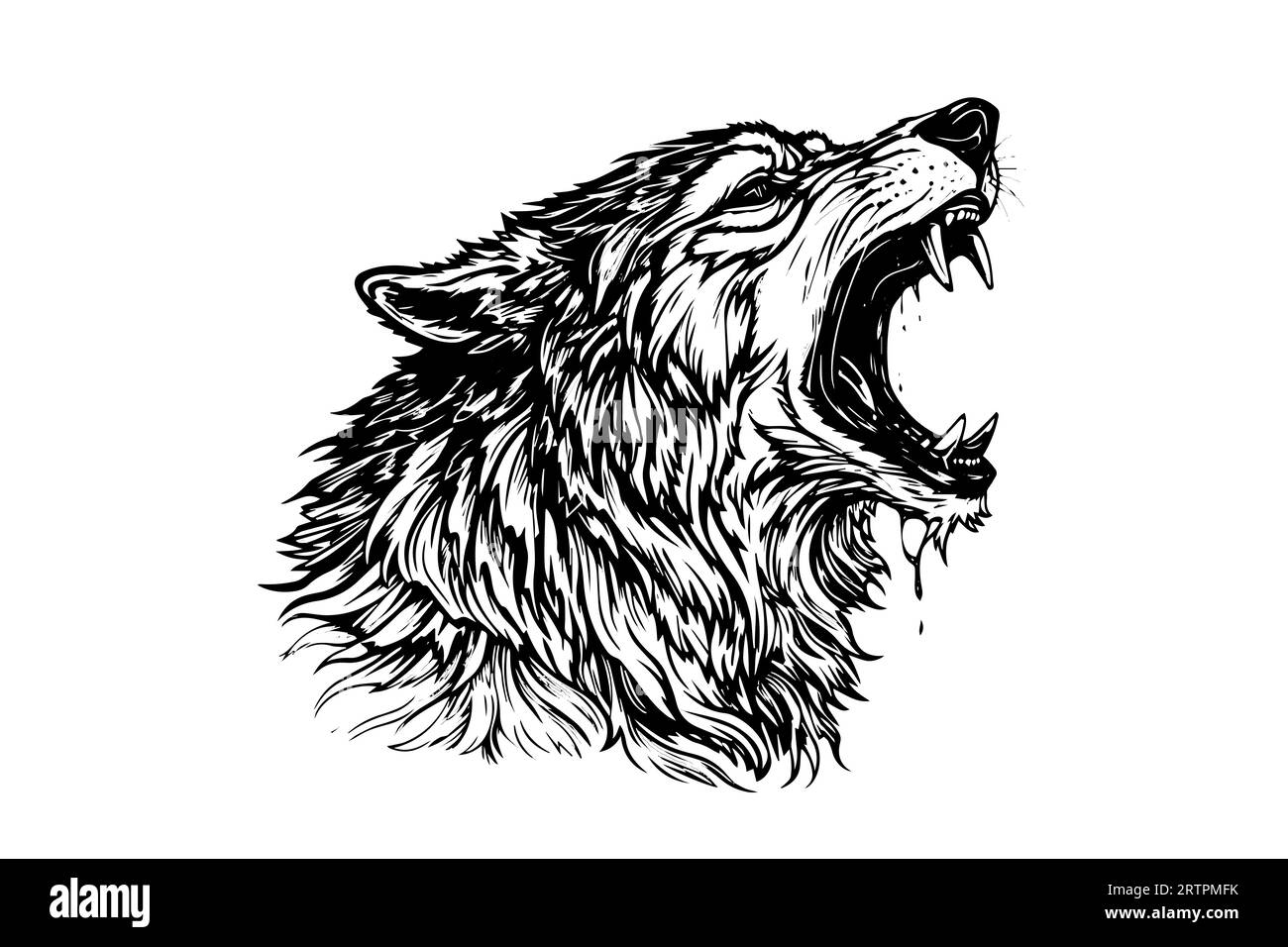 Angry wolf head hand drawn ink sketch. Engraving vintage style vector ...