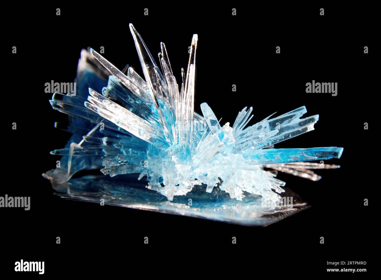 Shiny blue quartz crystal closeup view isolated on black background ...