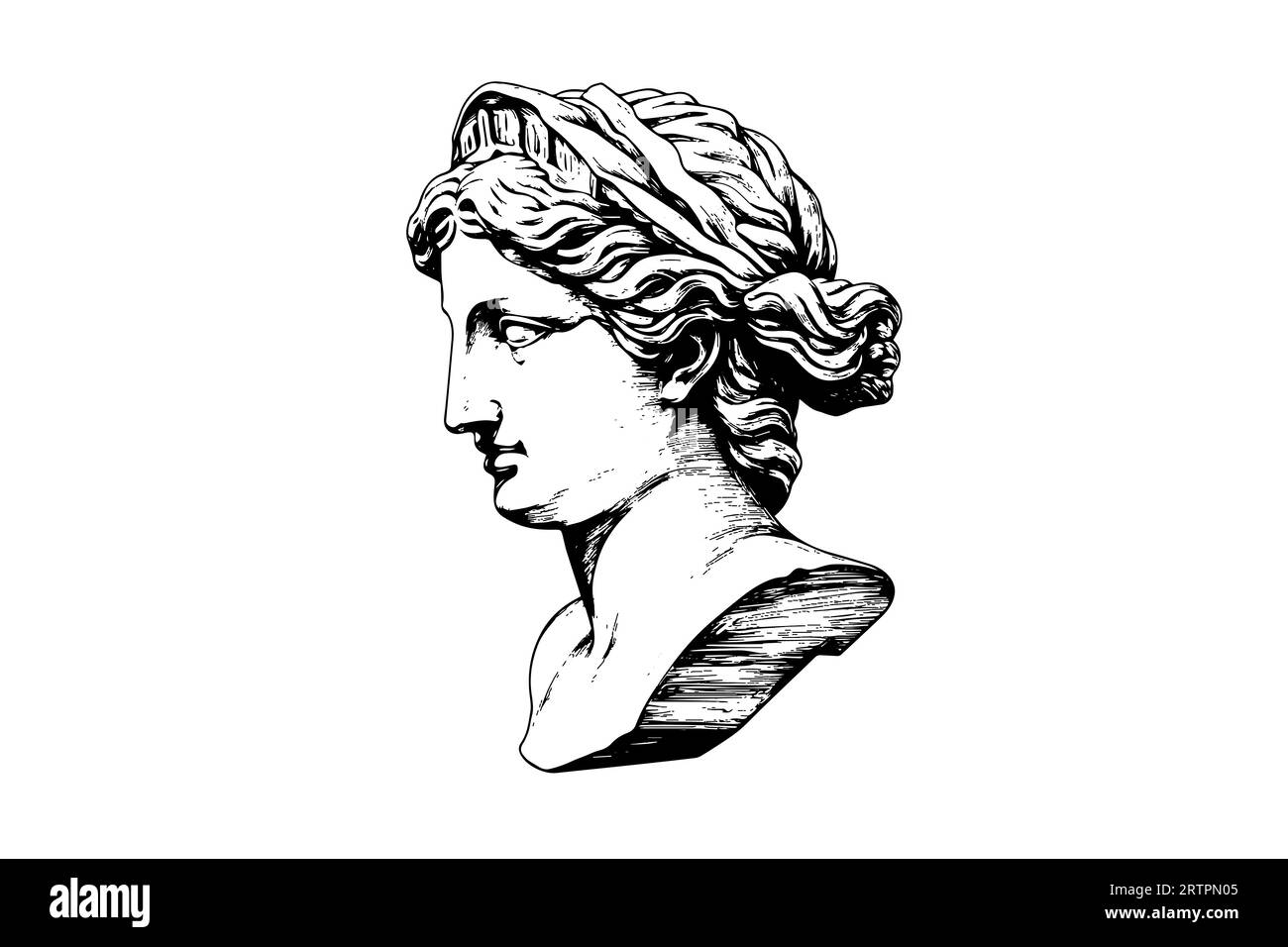 Antique statue head of greek sculpture sketch engraving style vector ...
