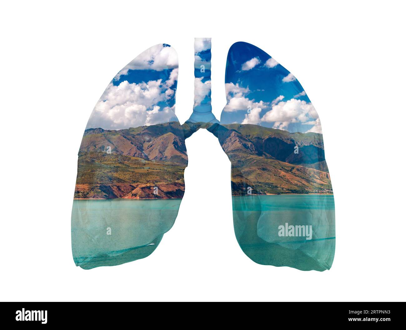 Illustration of Lungs made of nature landscape with lake and mountains ...