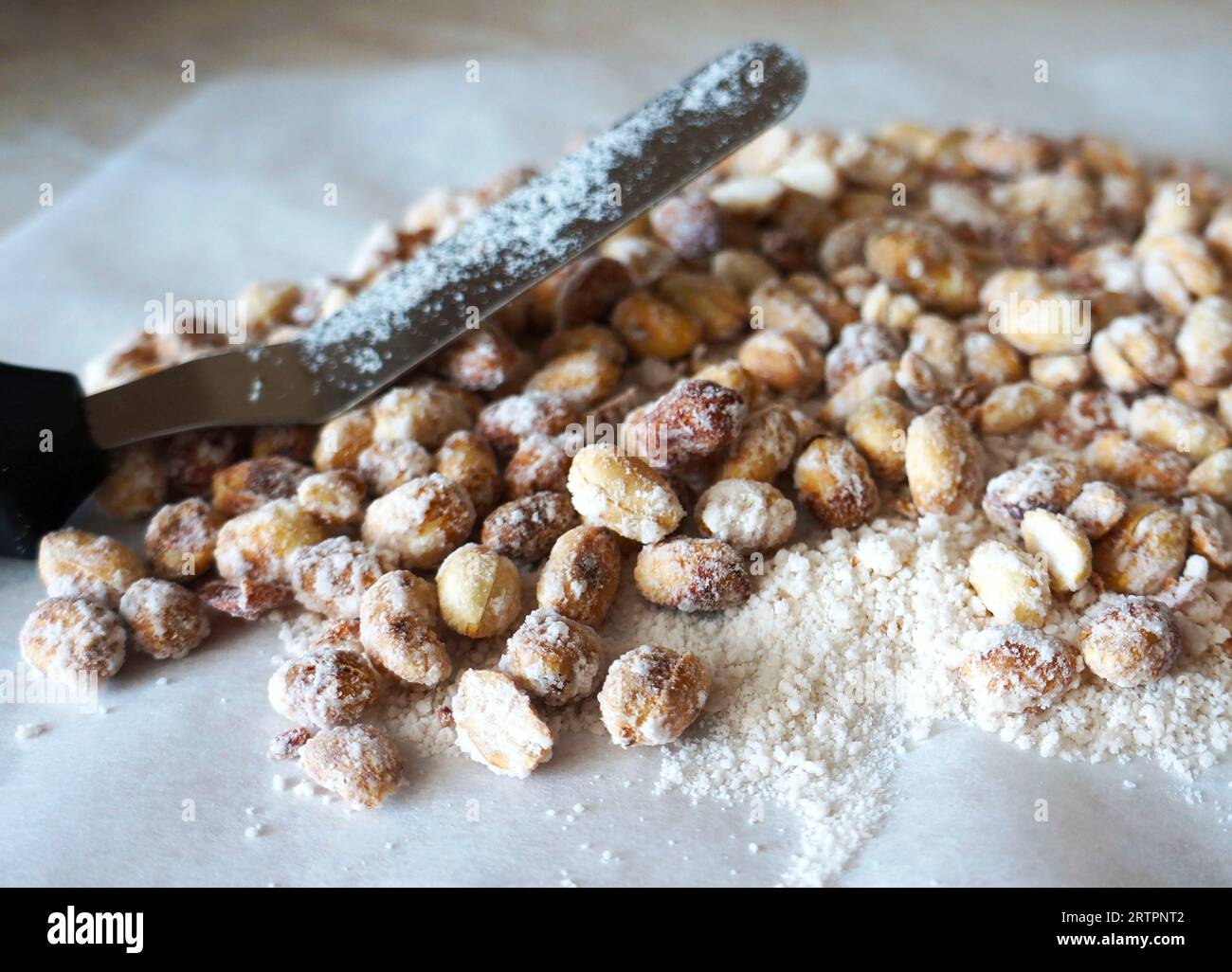 Roasted peanuts in icing sugar. Peanut in powdered sugar with a metal ...